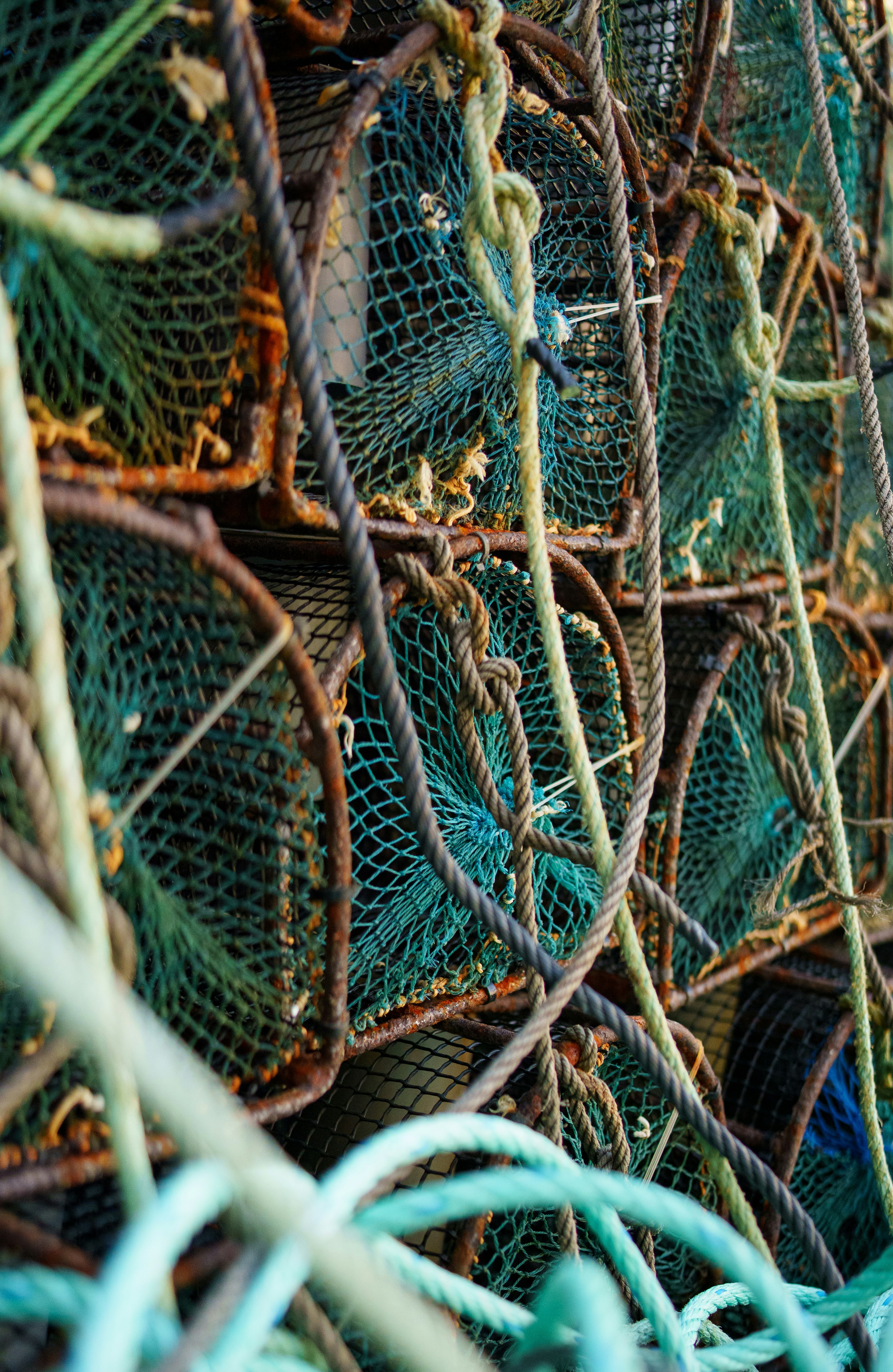 Photo by Raúl Gómez with Sony Alpha 7 IV