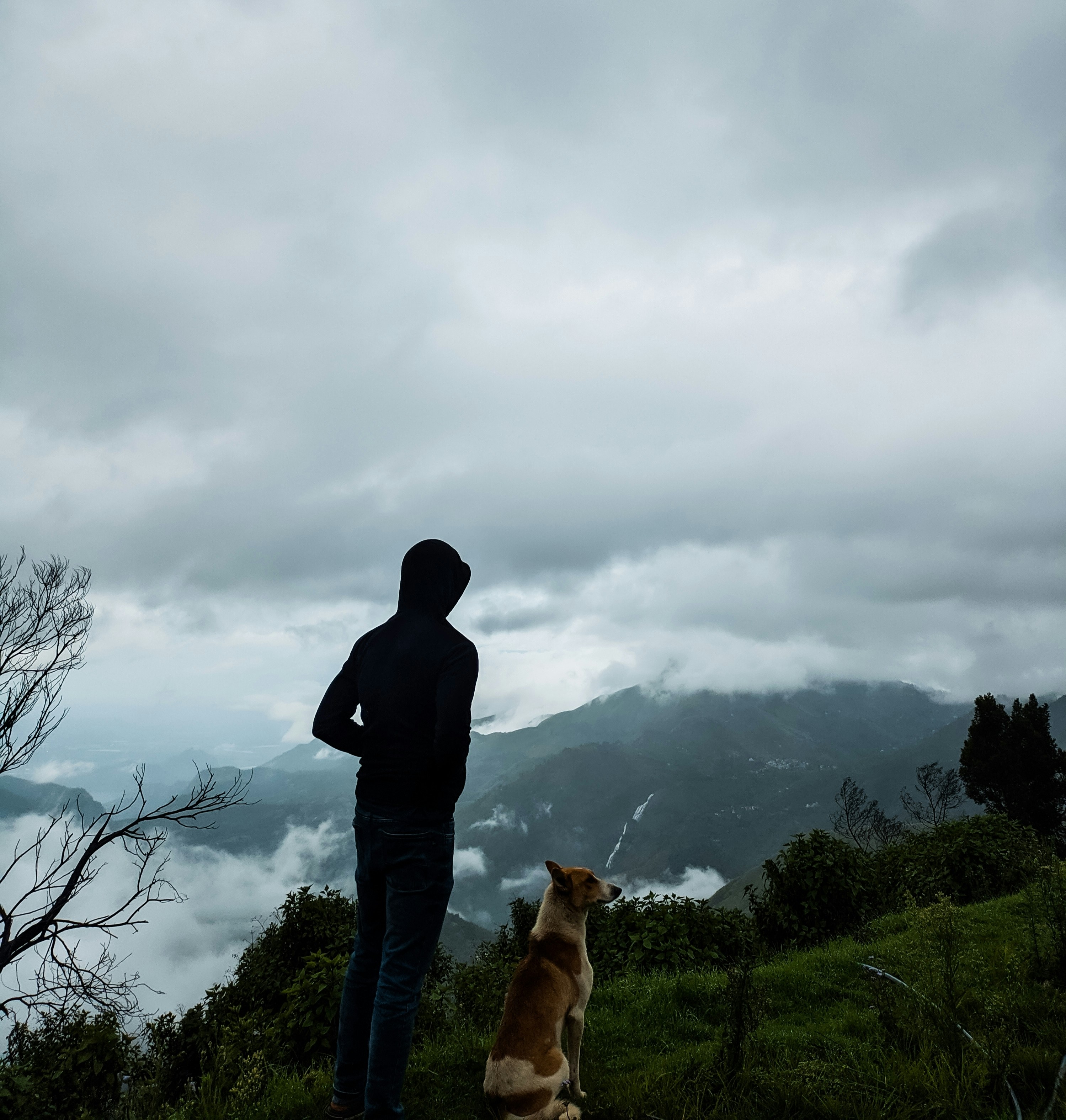 Foto Una persona y un perro en una colina con montañas al fondo ...