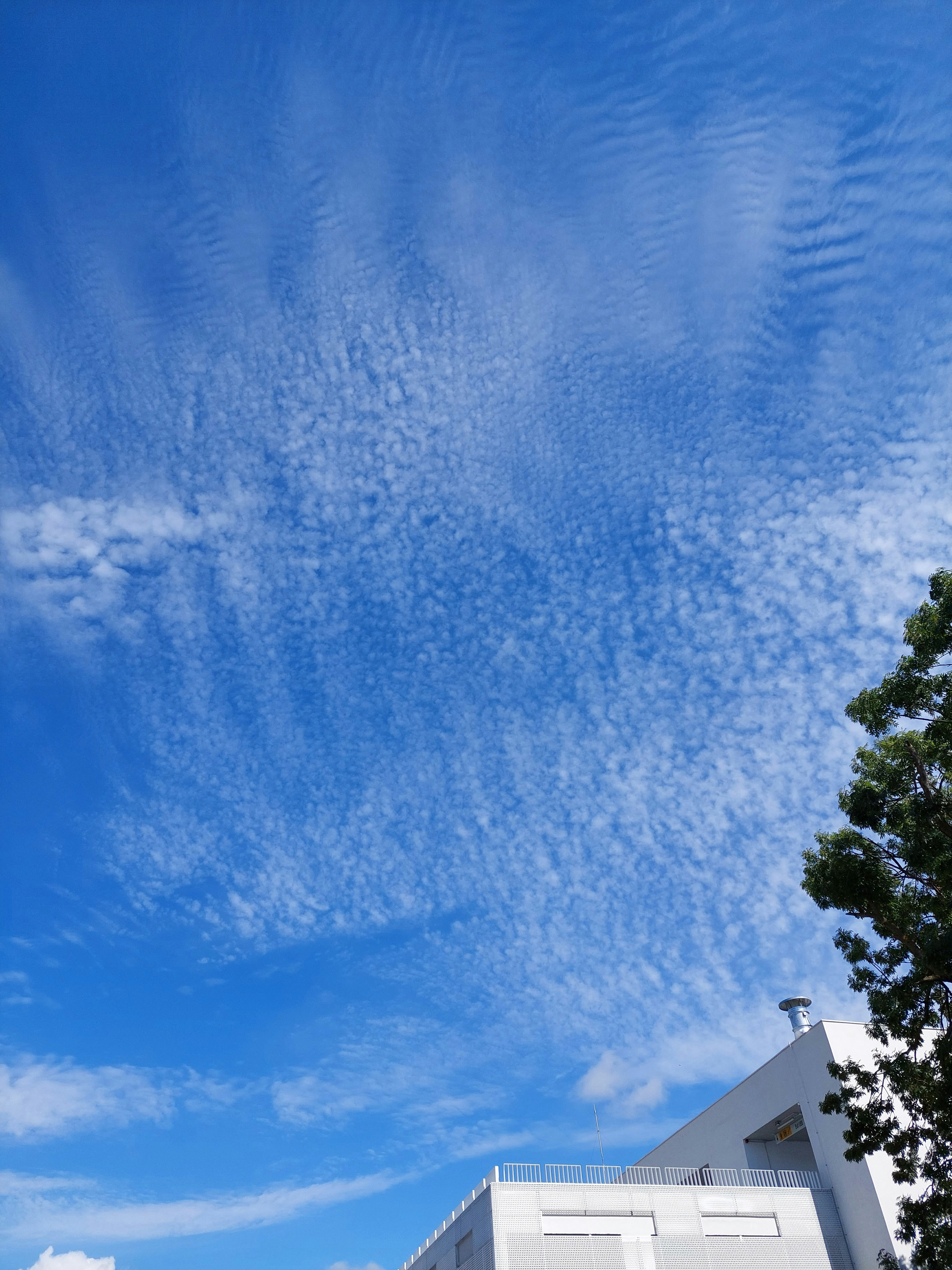 Stratus Weave Over a Minimal Urban Edge