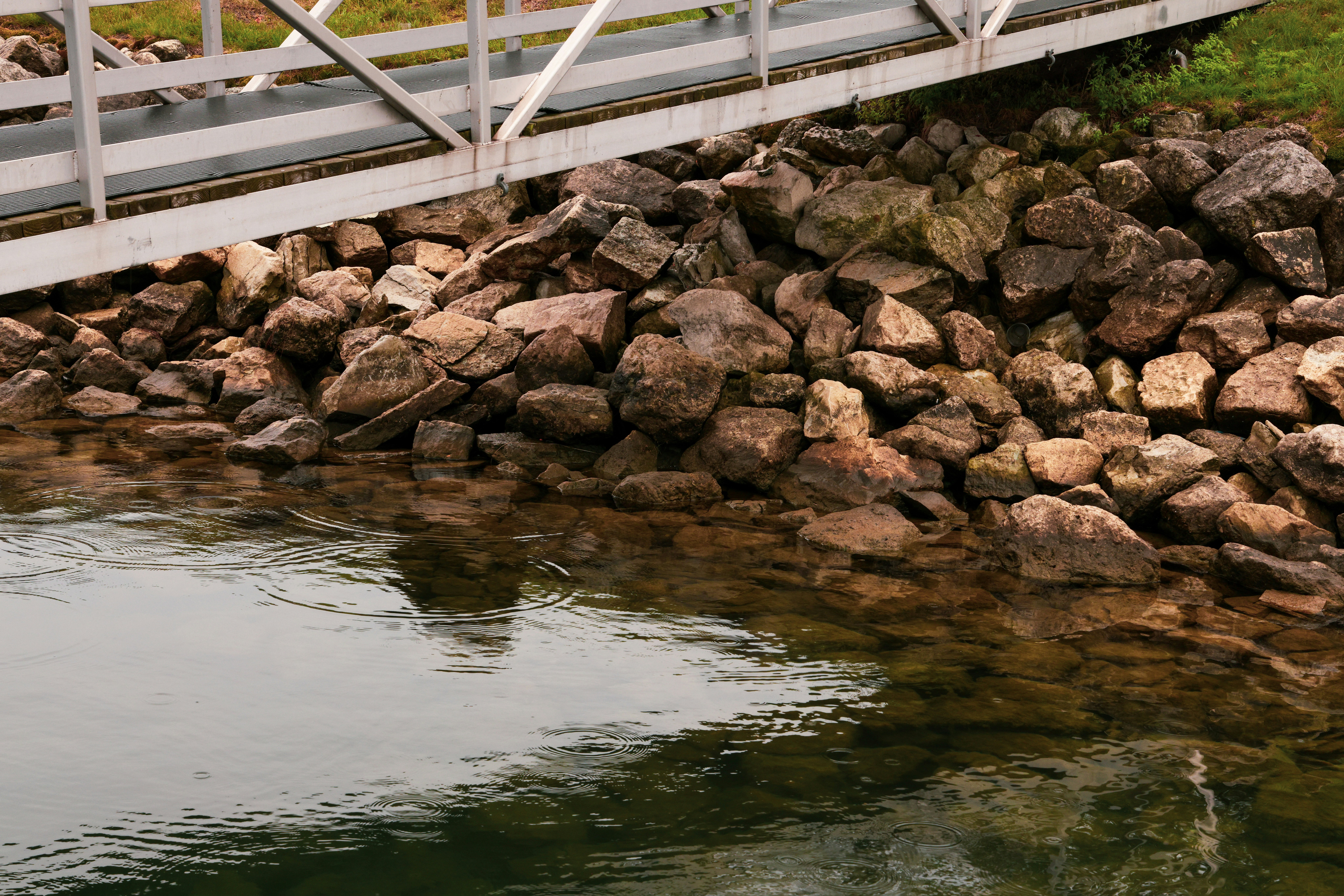 Photo by Atticus Fair with Canon EOS R5