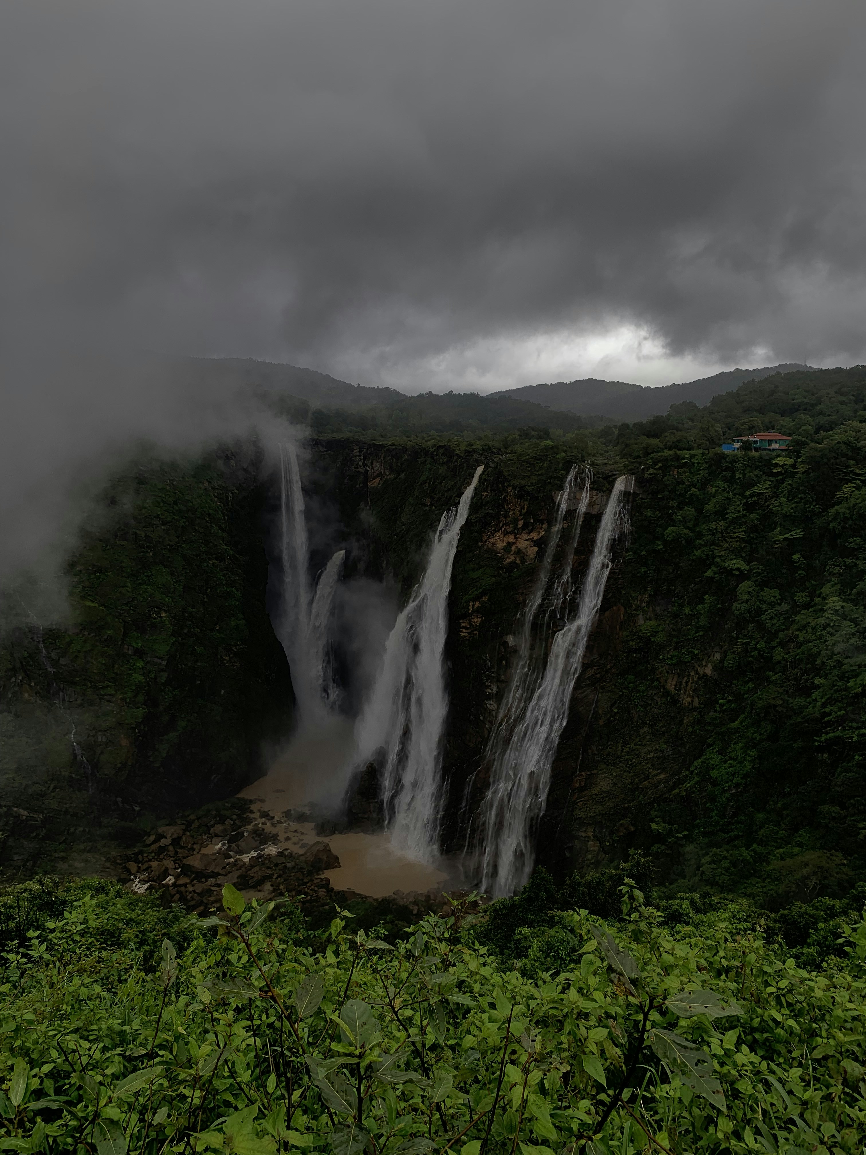 A group of waterfalls in a forest photo – Free Jog falls Image on Unsplash