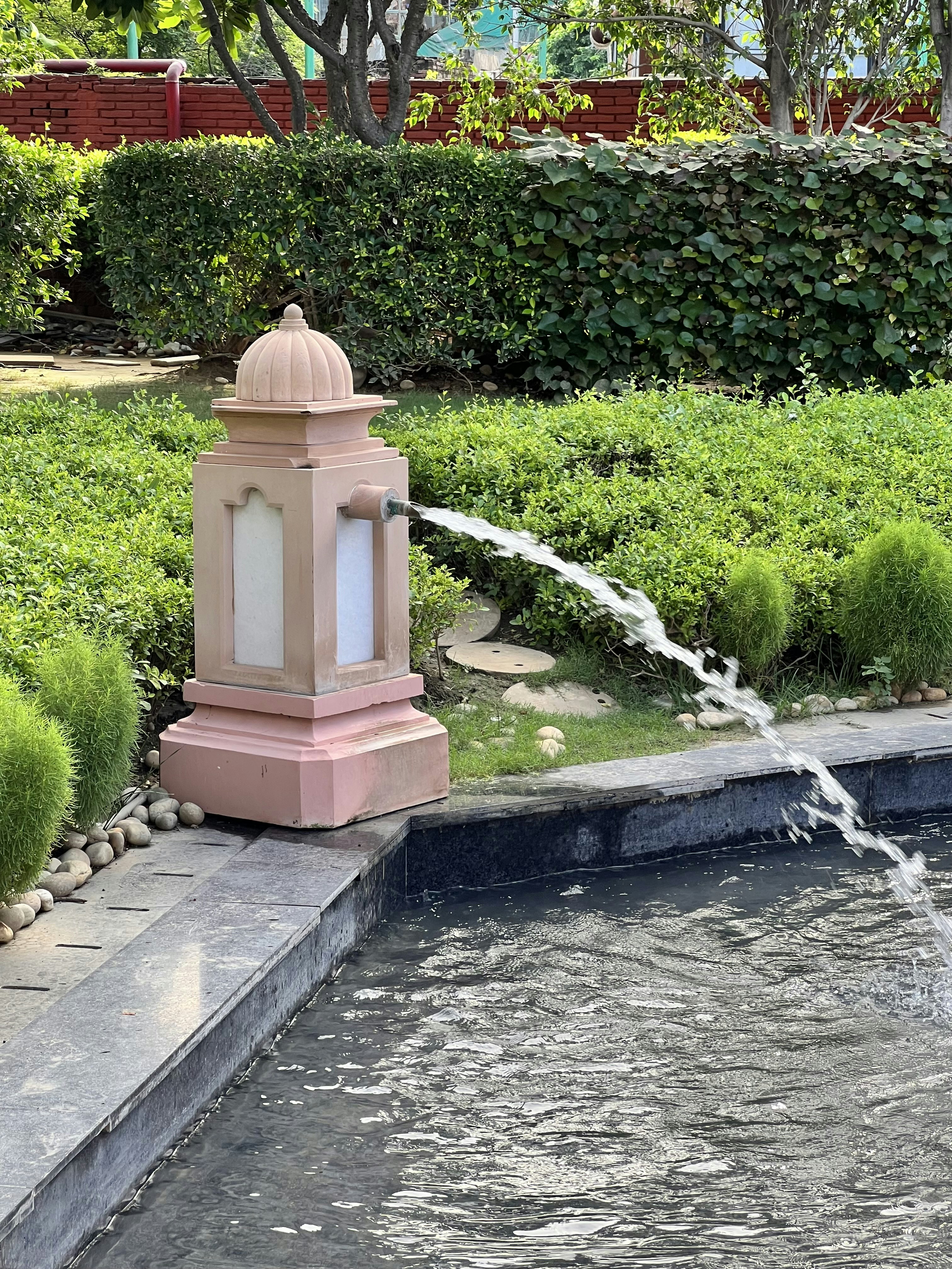 Pink Lantern Fountain: A Quiet Arc in a Pruned Garden