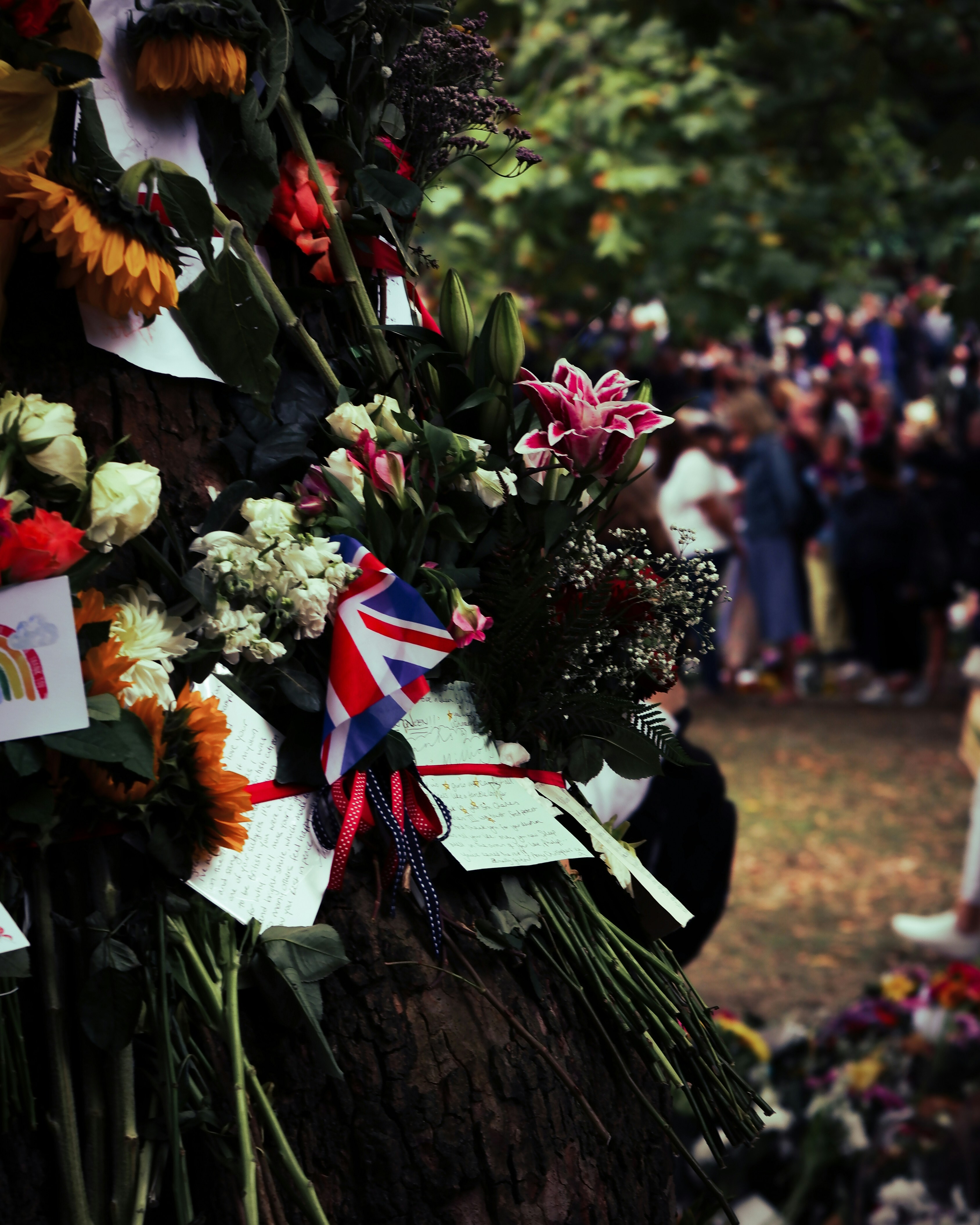A Memorial of Color: Flowers and Flags Adorn a Memorial Tree