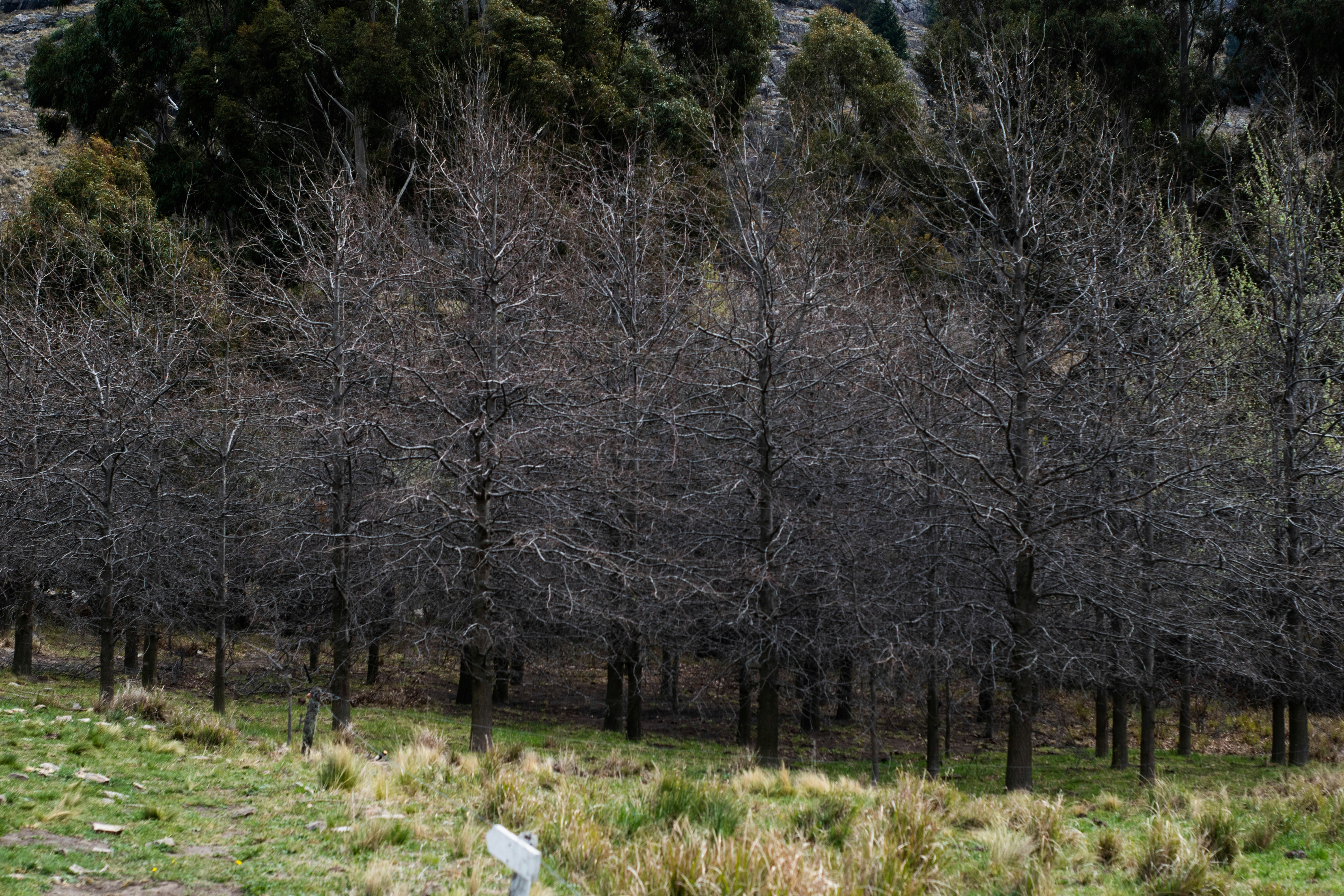 Sebastian Mancini (@sebastianarg) | Unsplash 사진 커뮤니티