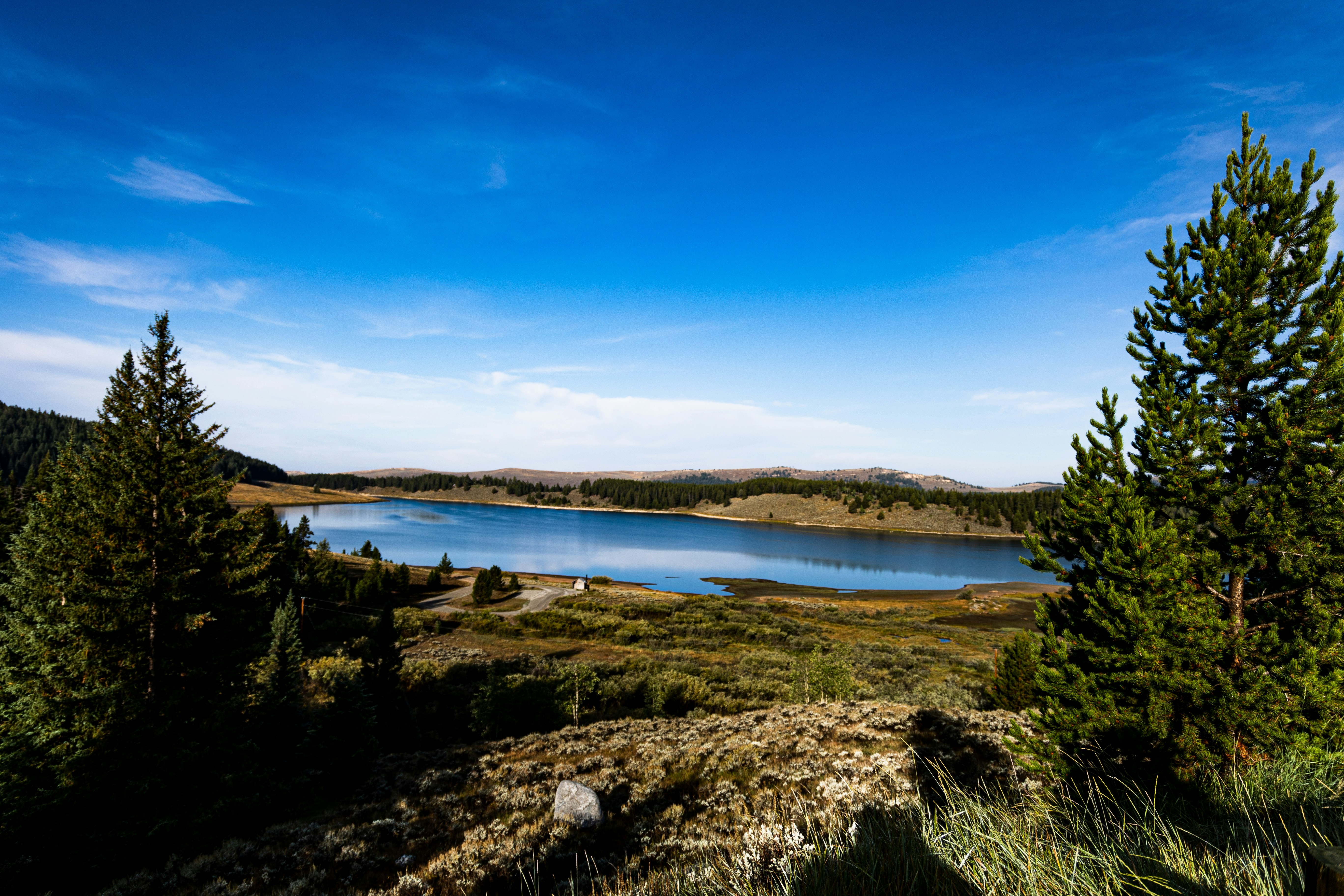 A lake surrounded by trees photo – Free Big horn national forest Image ...