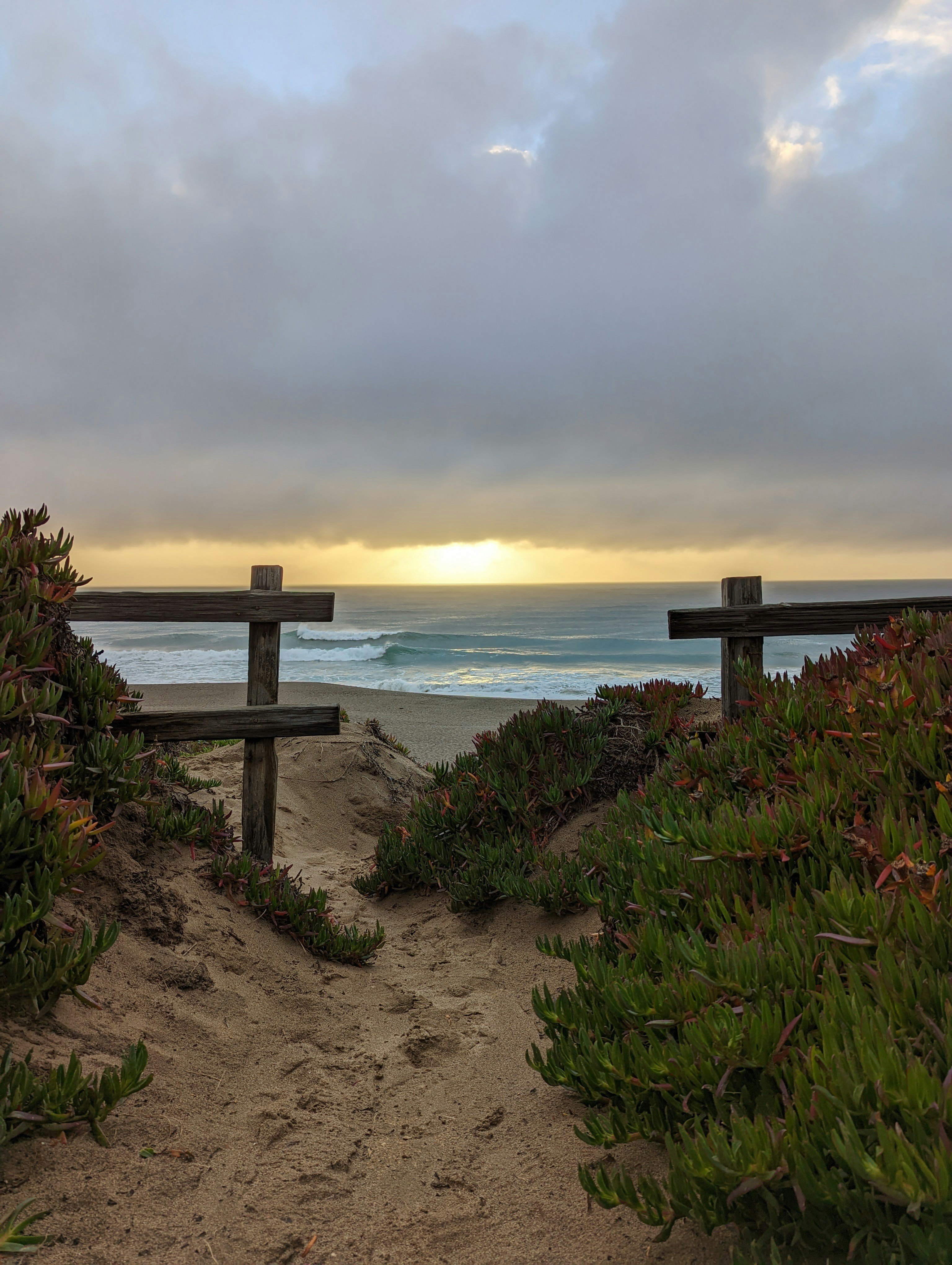 Sample photo from Google Pixel 6 Pro