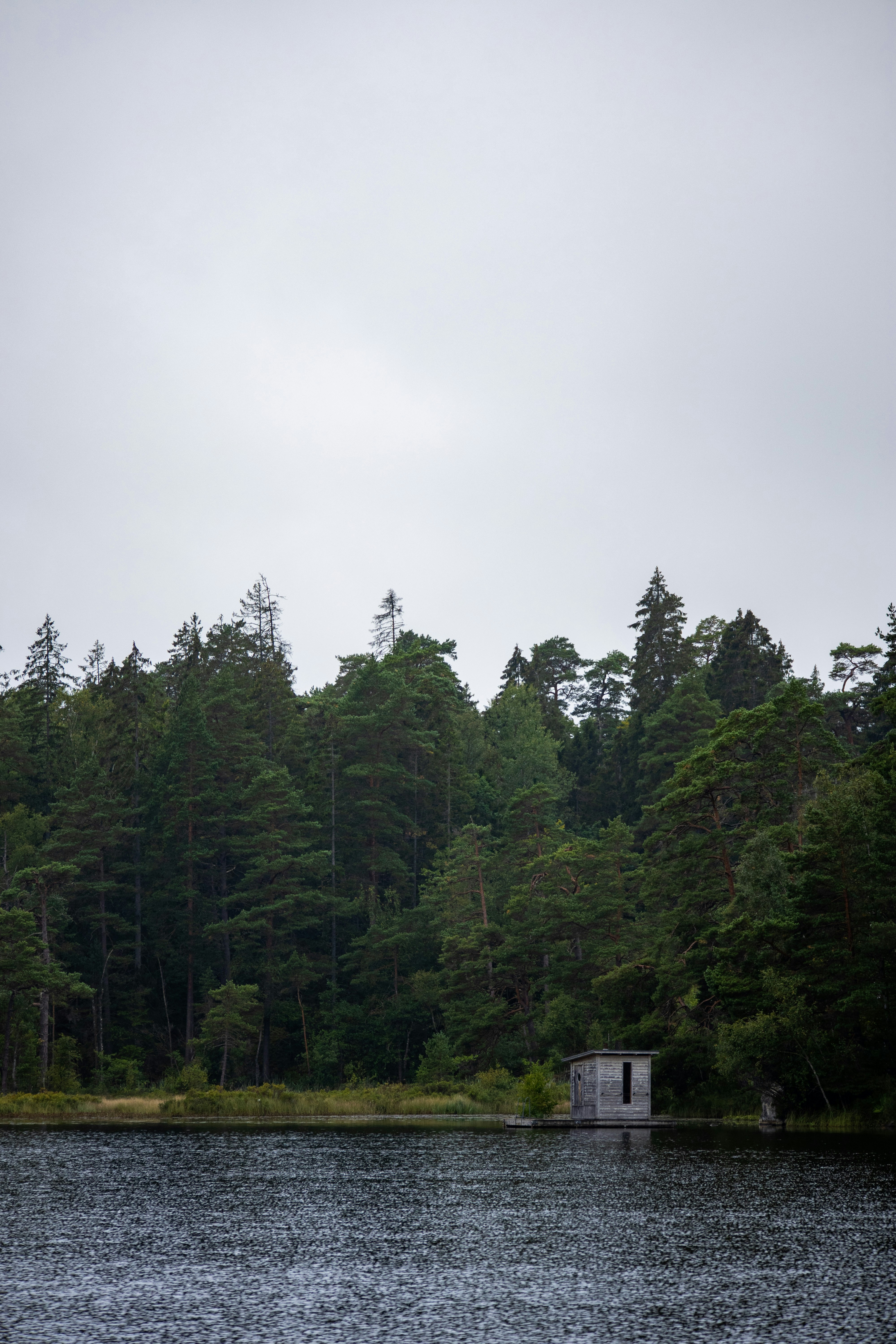 a body of water with trees around it