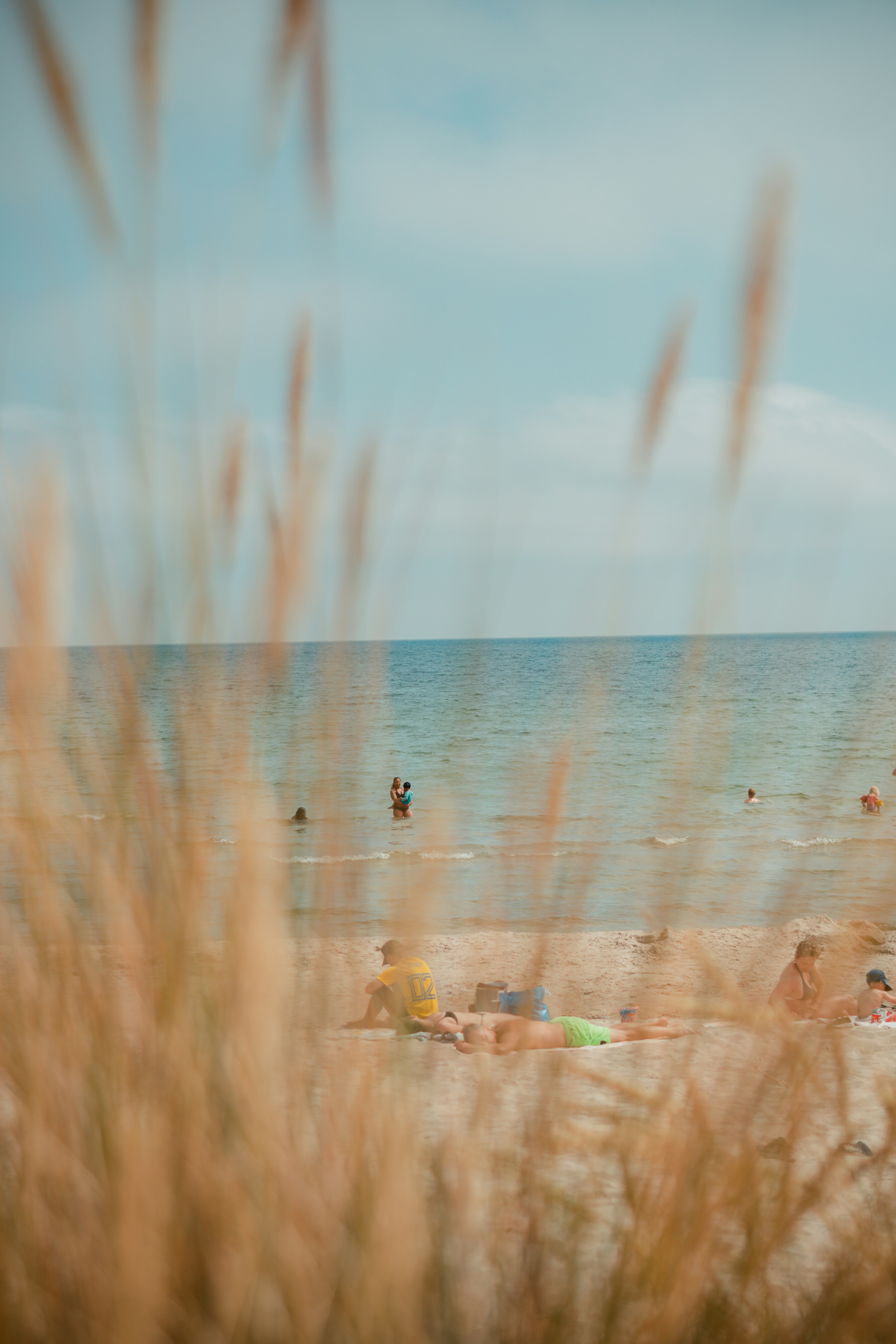 Curtain of Beach Grass Frames a Lively Shoreline Afternoon