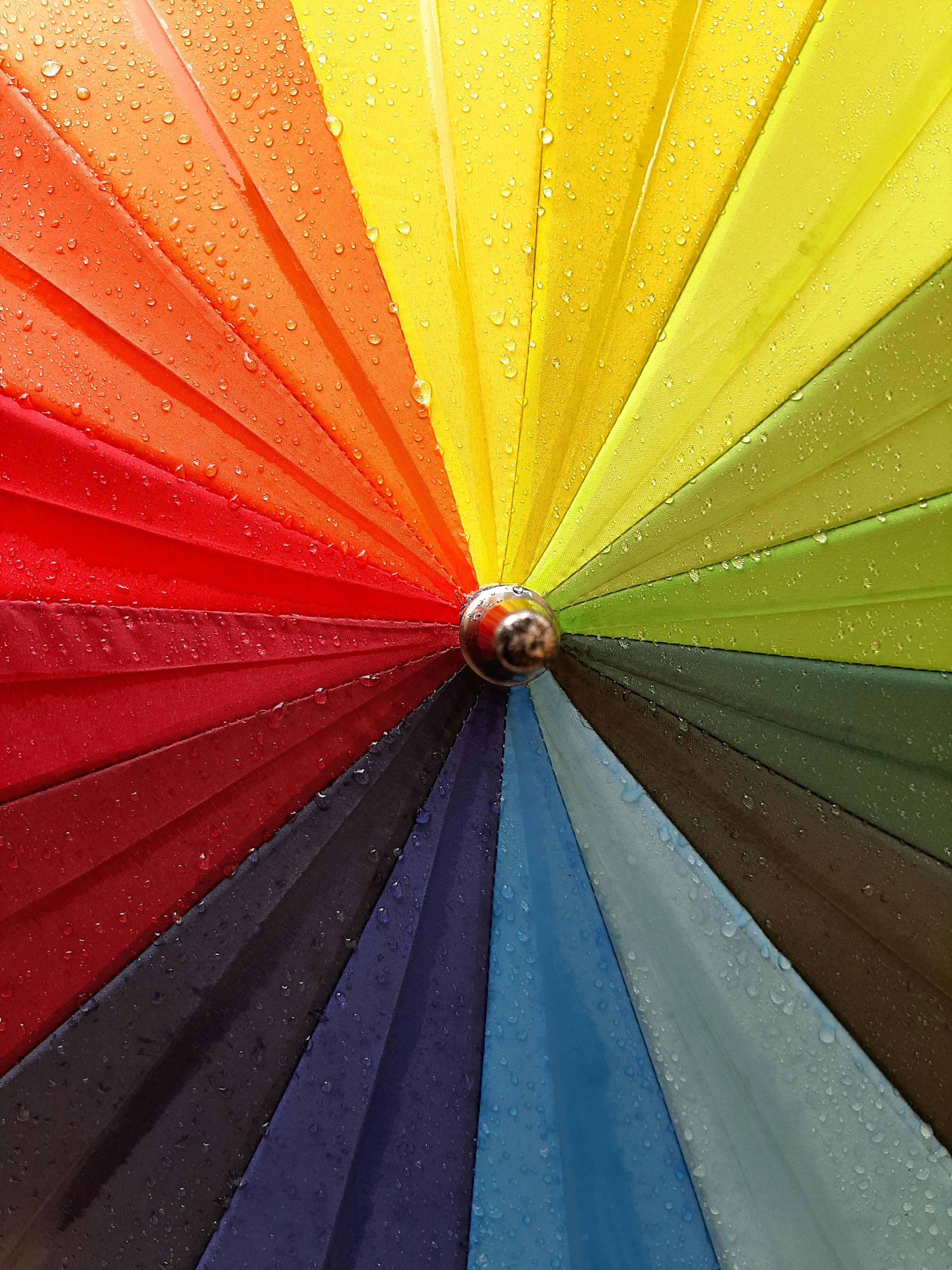 Close-up view of a vibrant umbrella showcasing a spectrum of colors, each panel glistening with raindrops. The arrangement highlights the beauty of everyday objects.