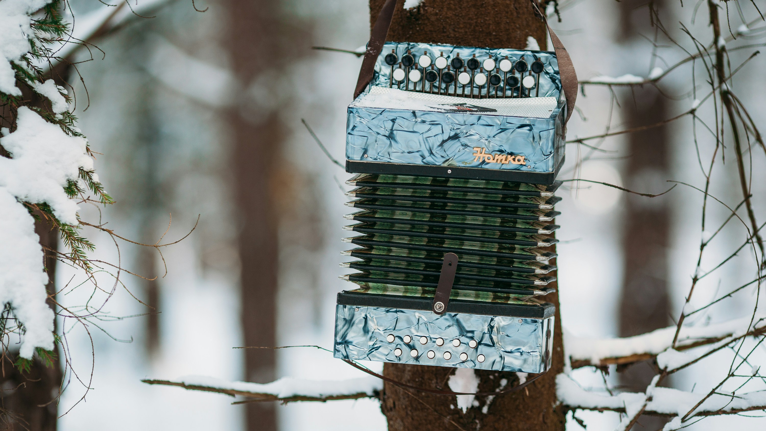 Snow-Scored Melodic Box: A Winter Portrait of an Antique Cinebox