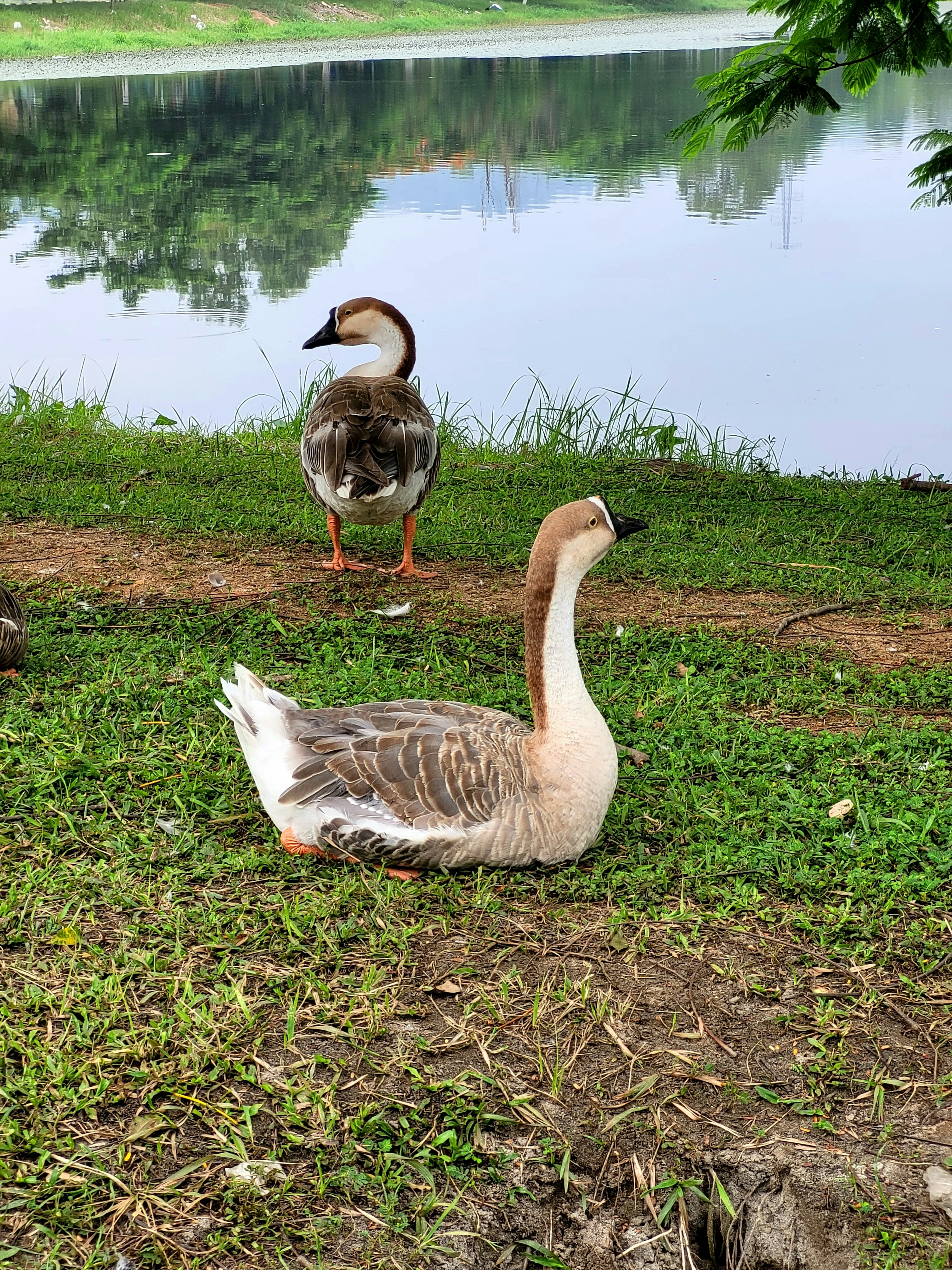 Srinivas Sahu (@srinivas88) | Unsplash Photo Community