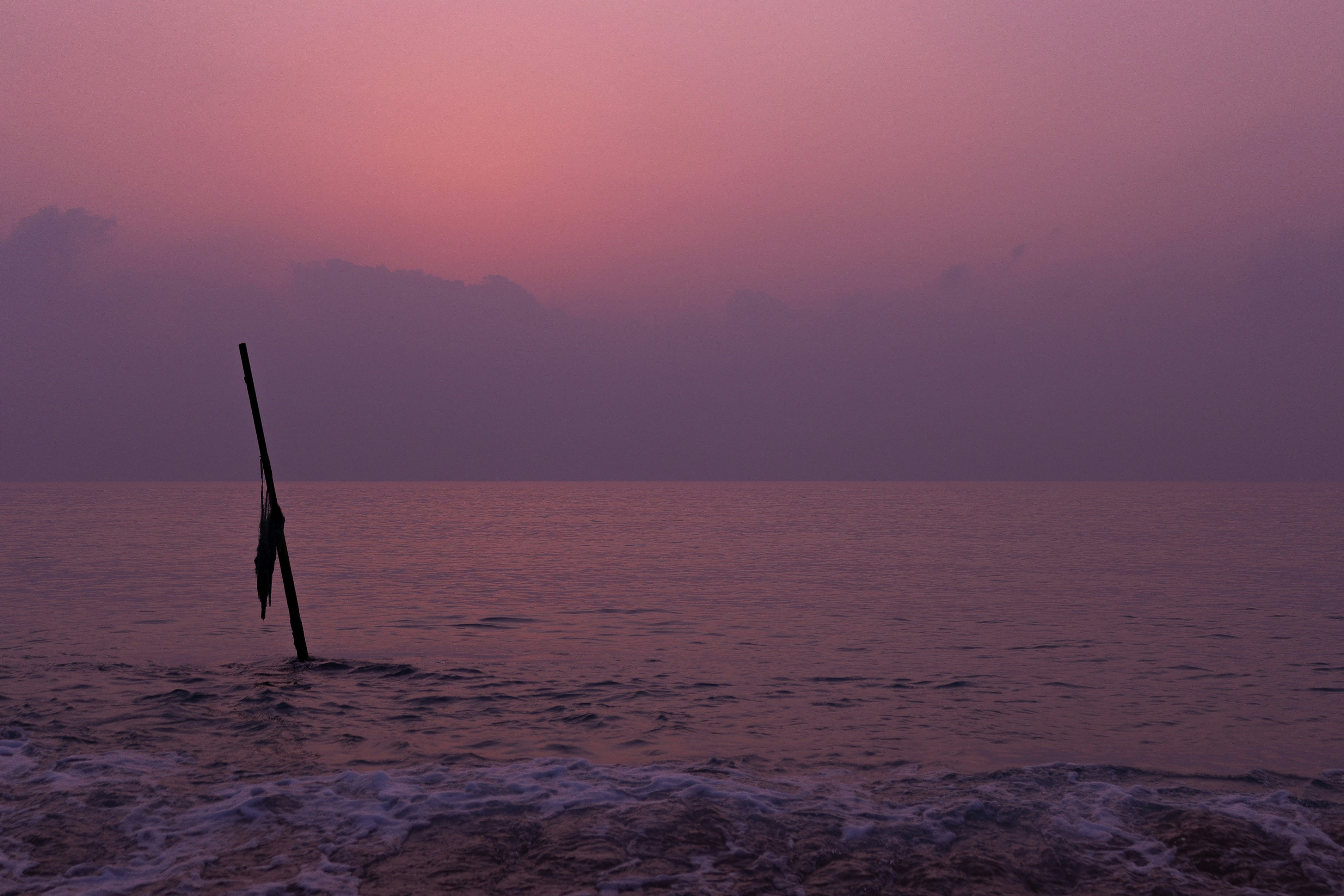 Pole at Dusk: A Lavender Sea Study