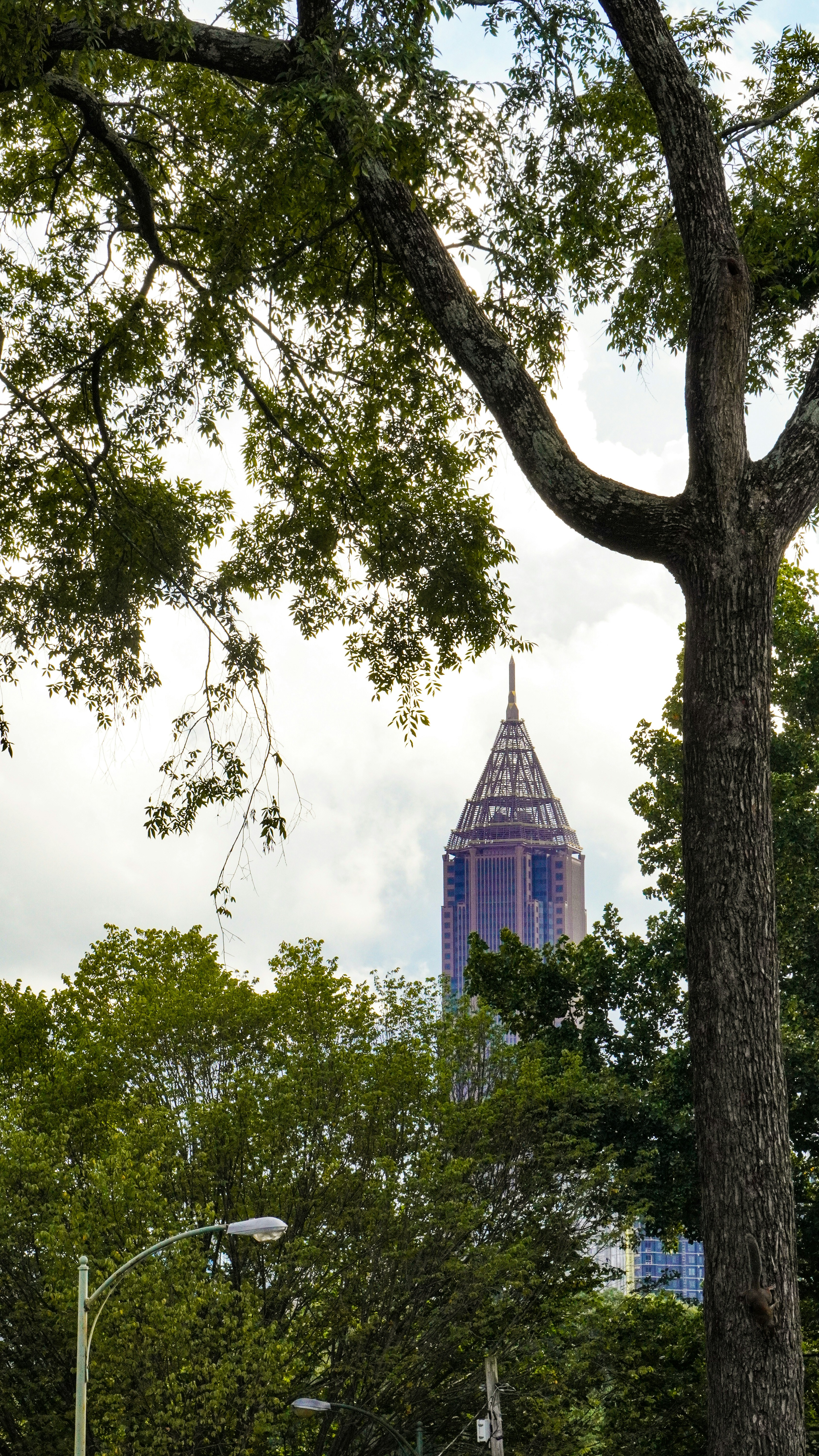 A tall building behind trees photo – Free Architecture Image on Unsplash