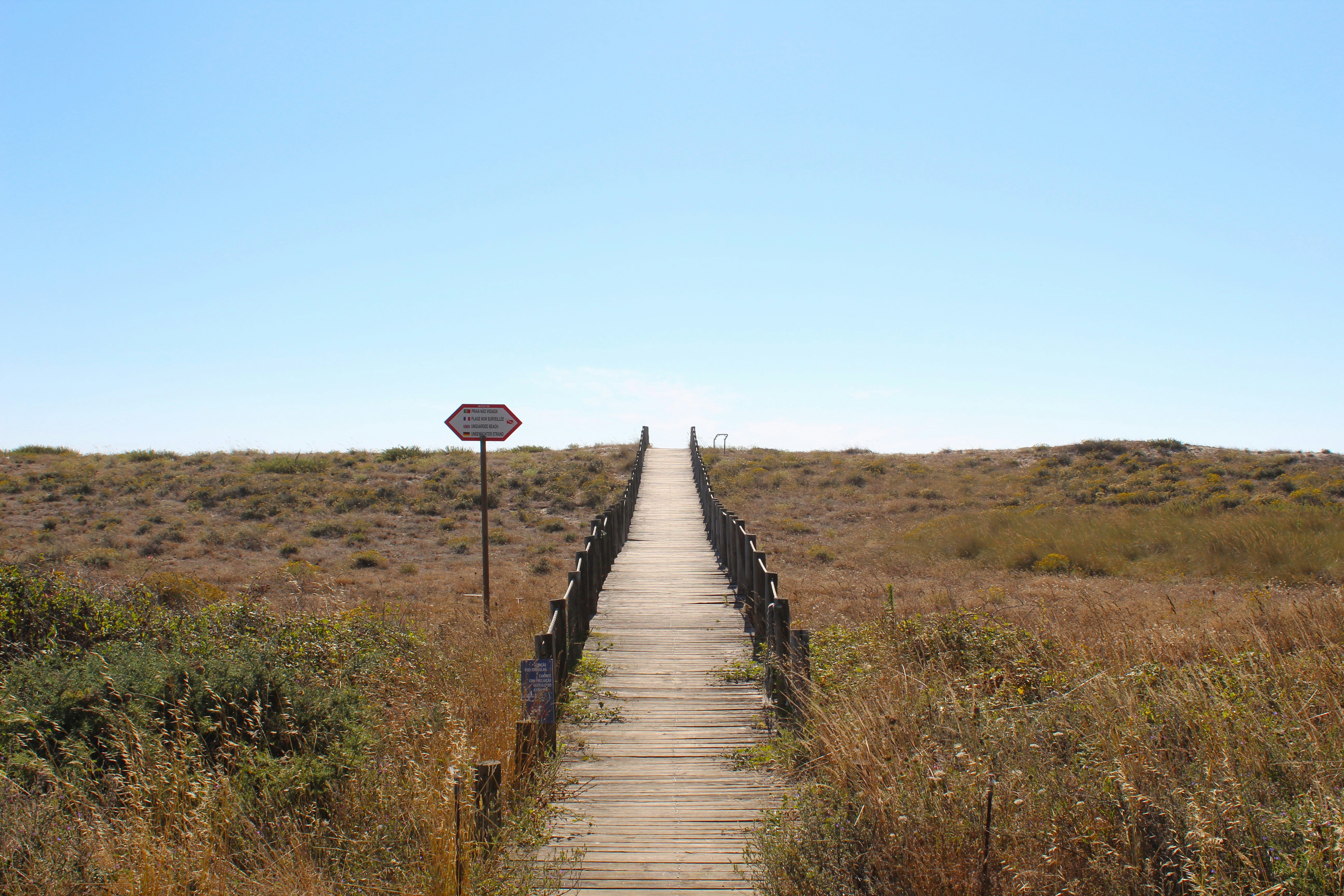 Vanishing Boardwalk: A Wooden Route to the Open Sky