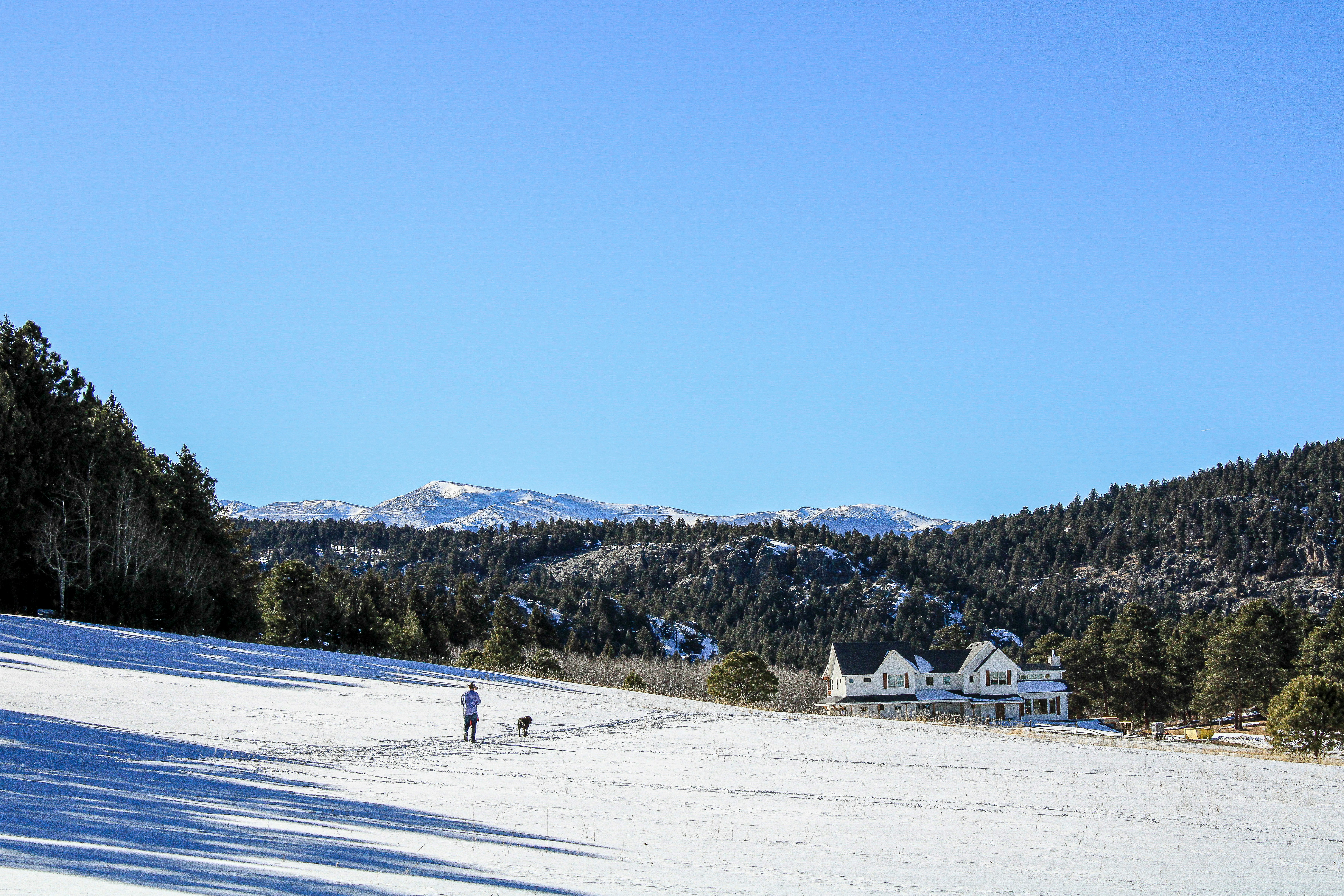 Person walking a dog across a snow-covered field with distant mountains and a house in the background.