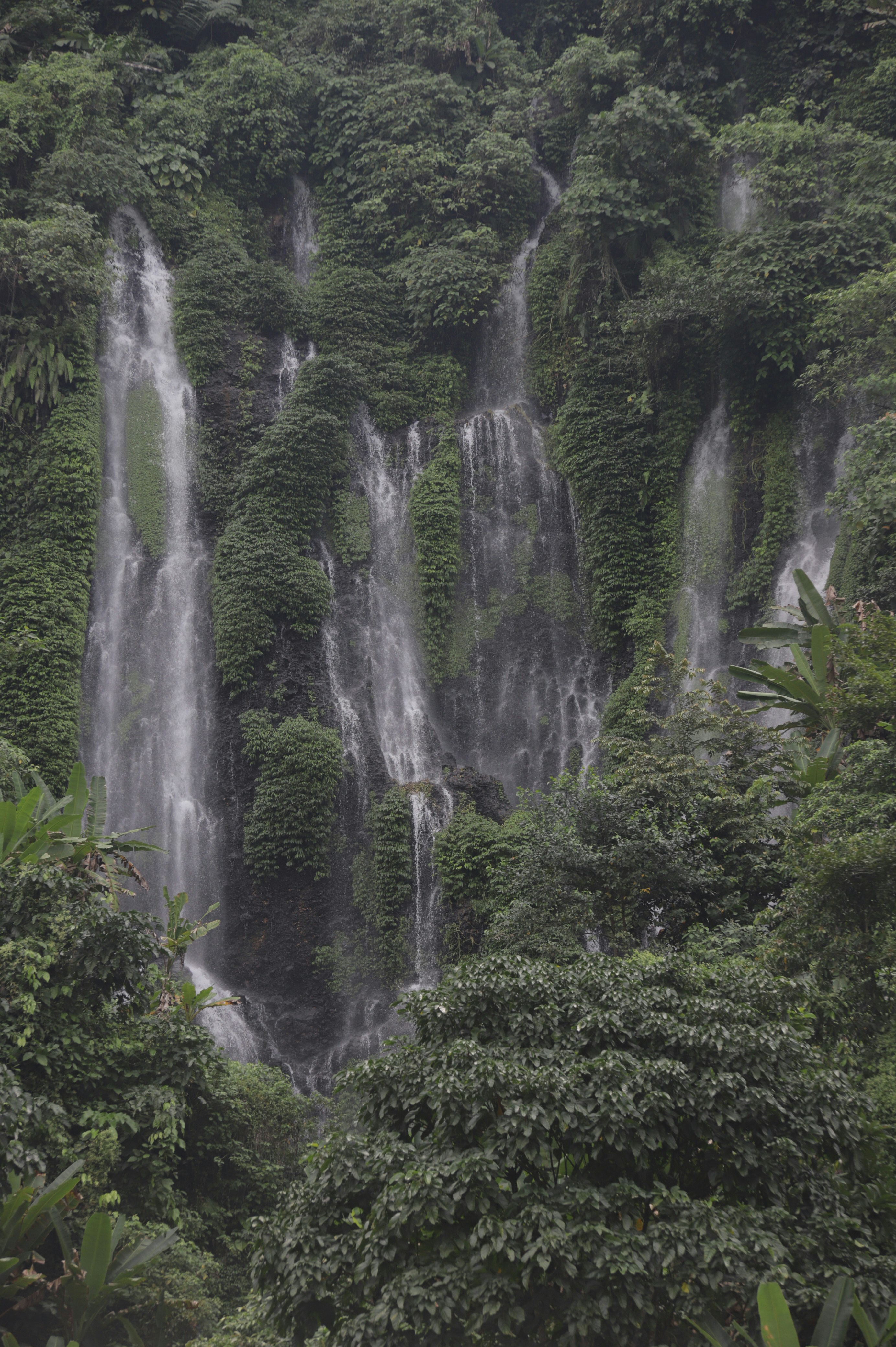 Rondell Chaz Mabunga (@chazmabunga) | Unsplashフォトコミュニティ