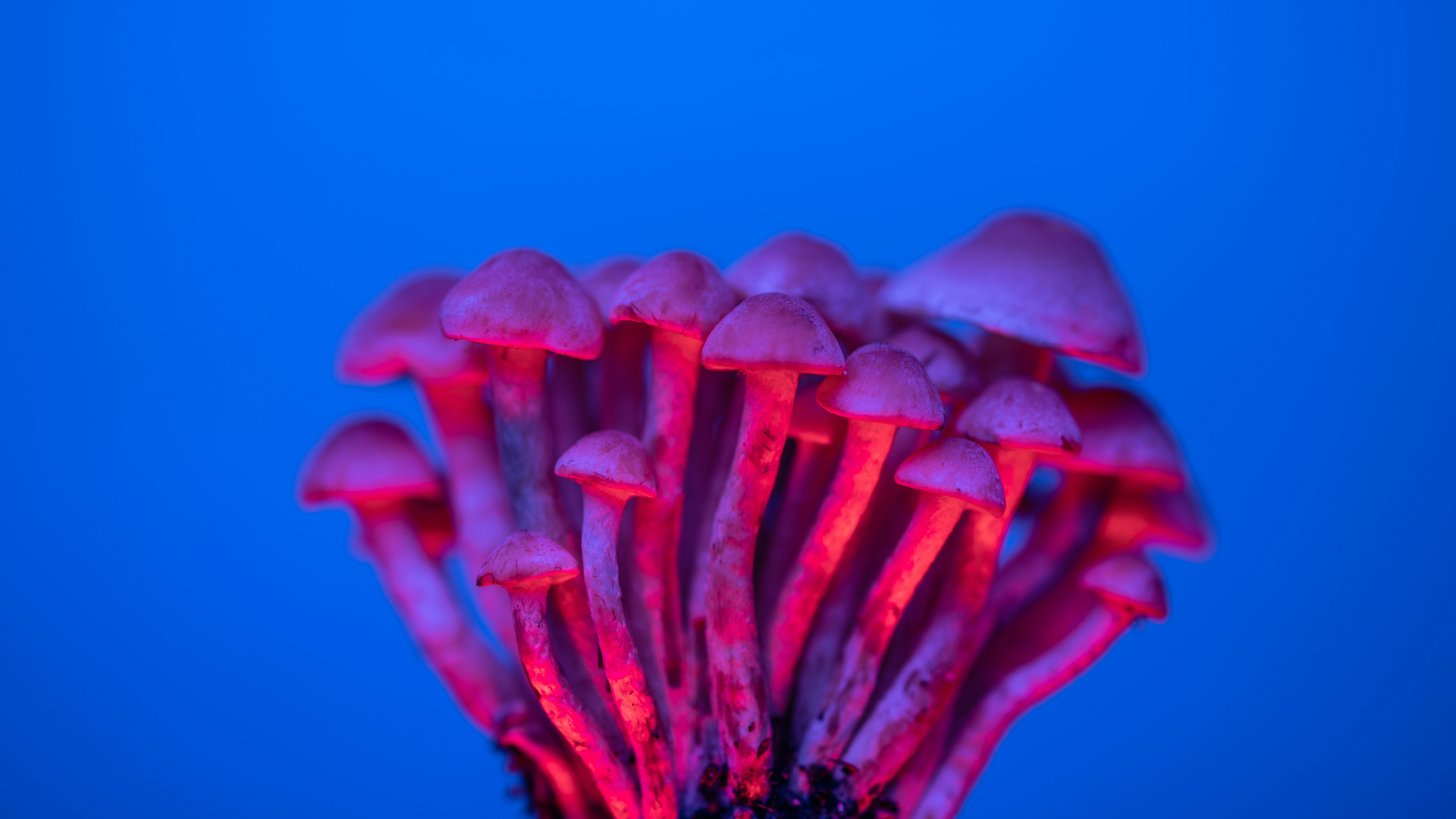 Fluorescent.