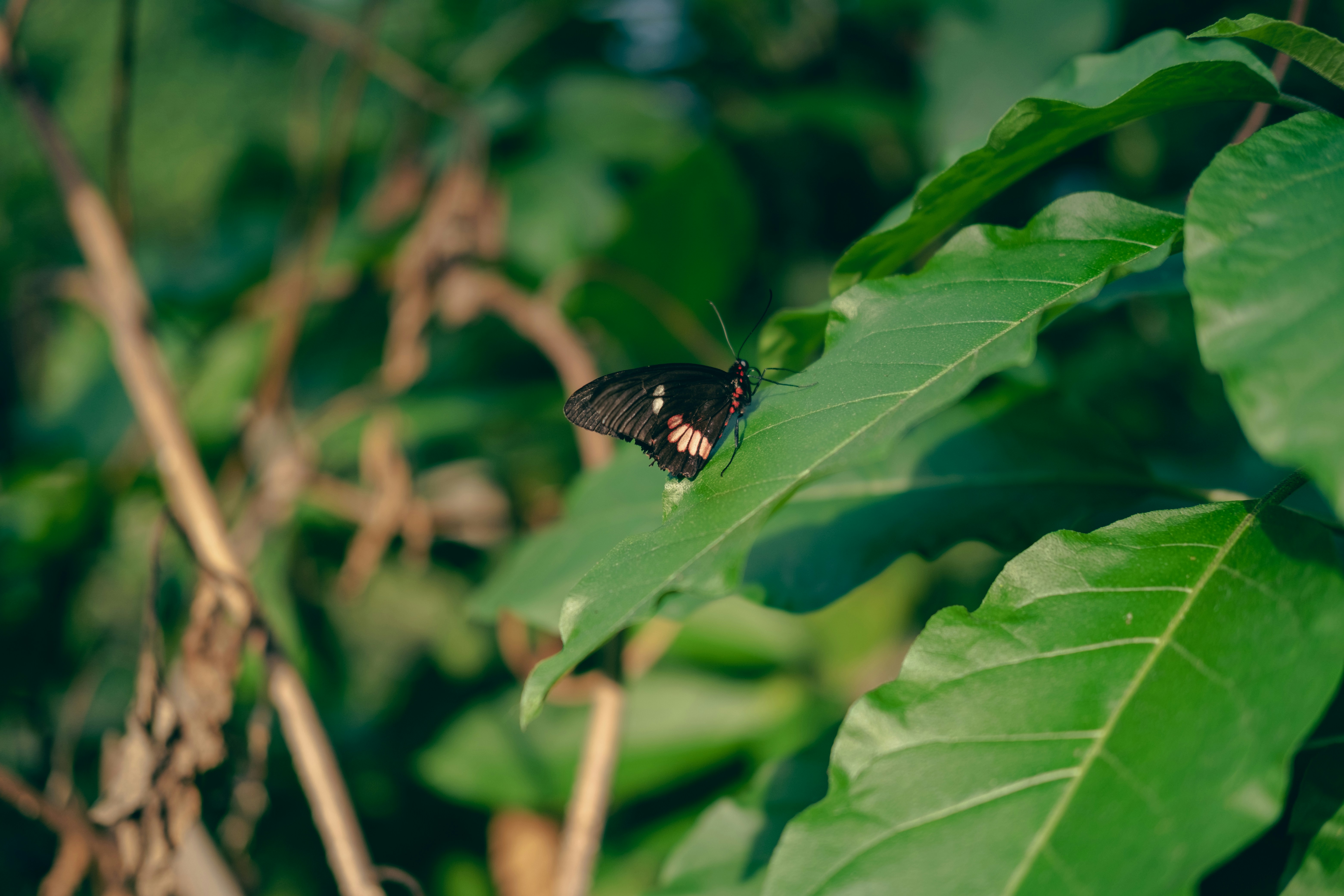 Photo by Milan Ivanovic with Fujifilm X-T3