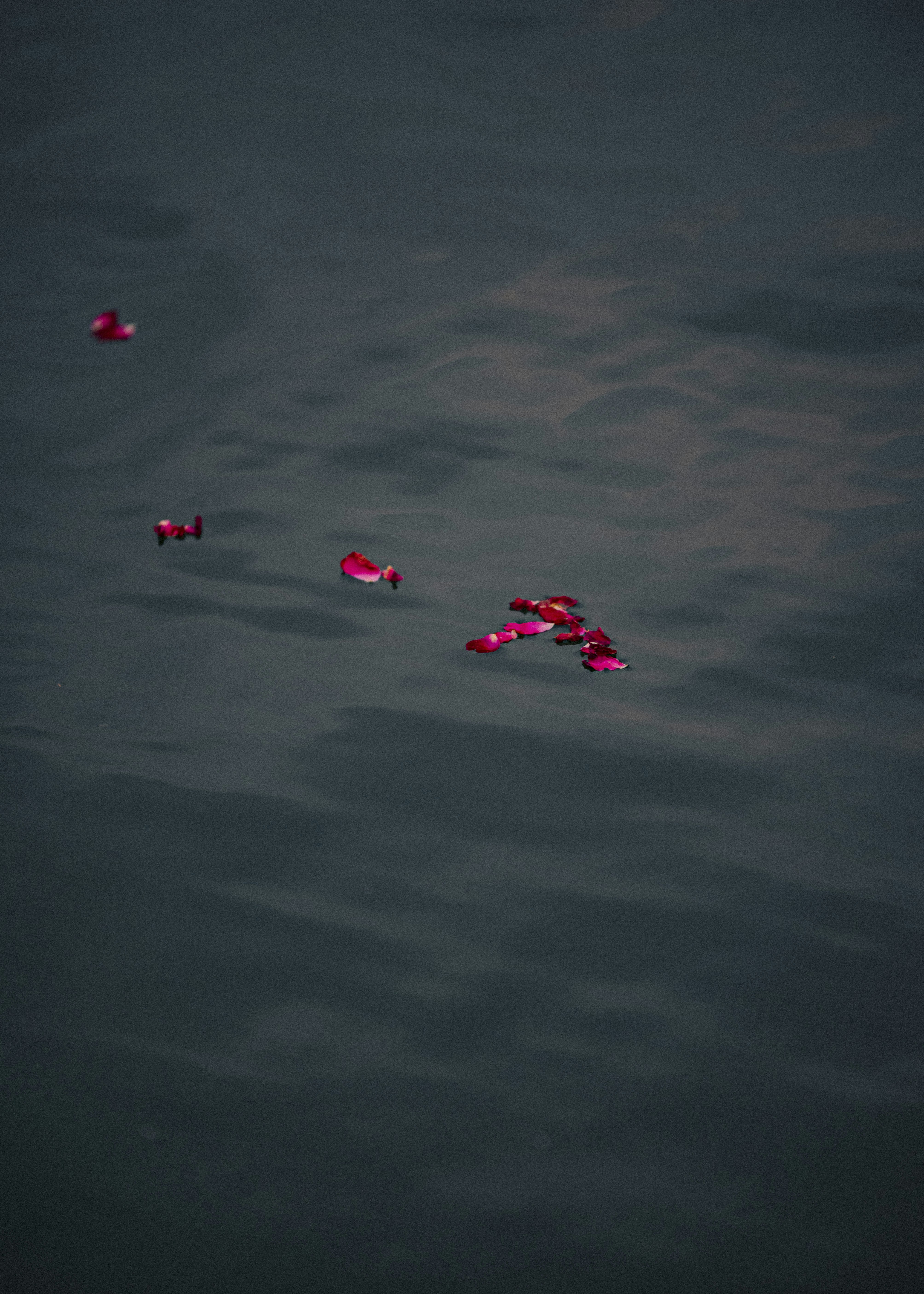 Red Flock over Quiet Waters