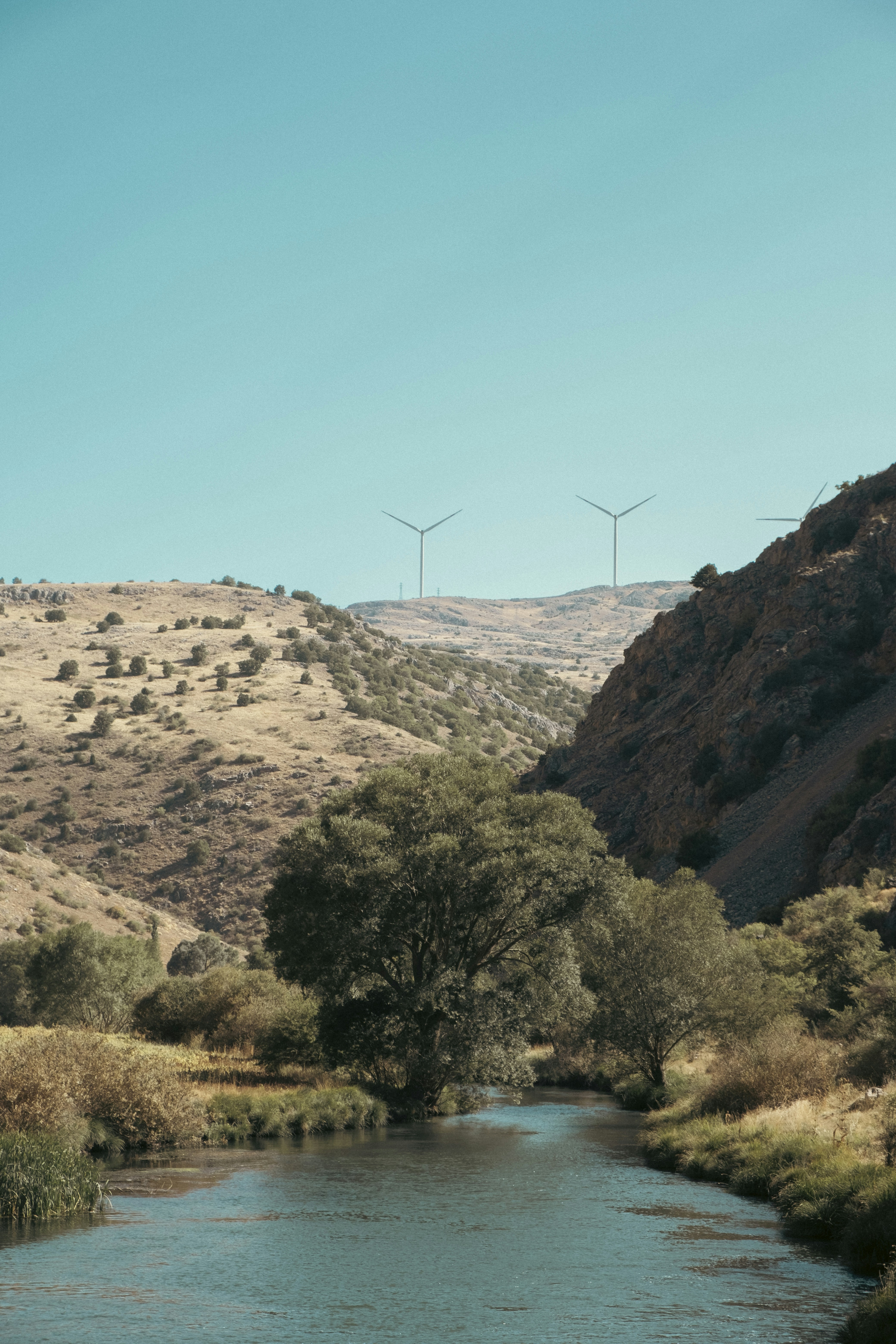 Windward Horizon: Turbines Silhouetted Above a Meandering River Canyon