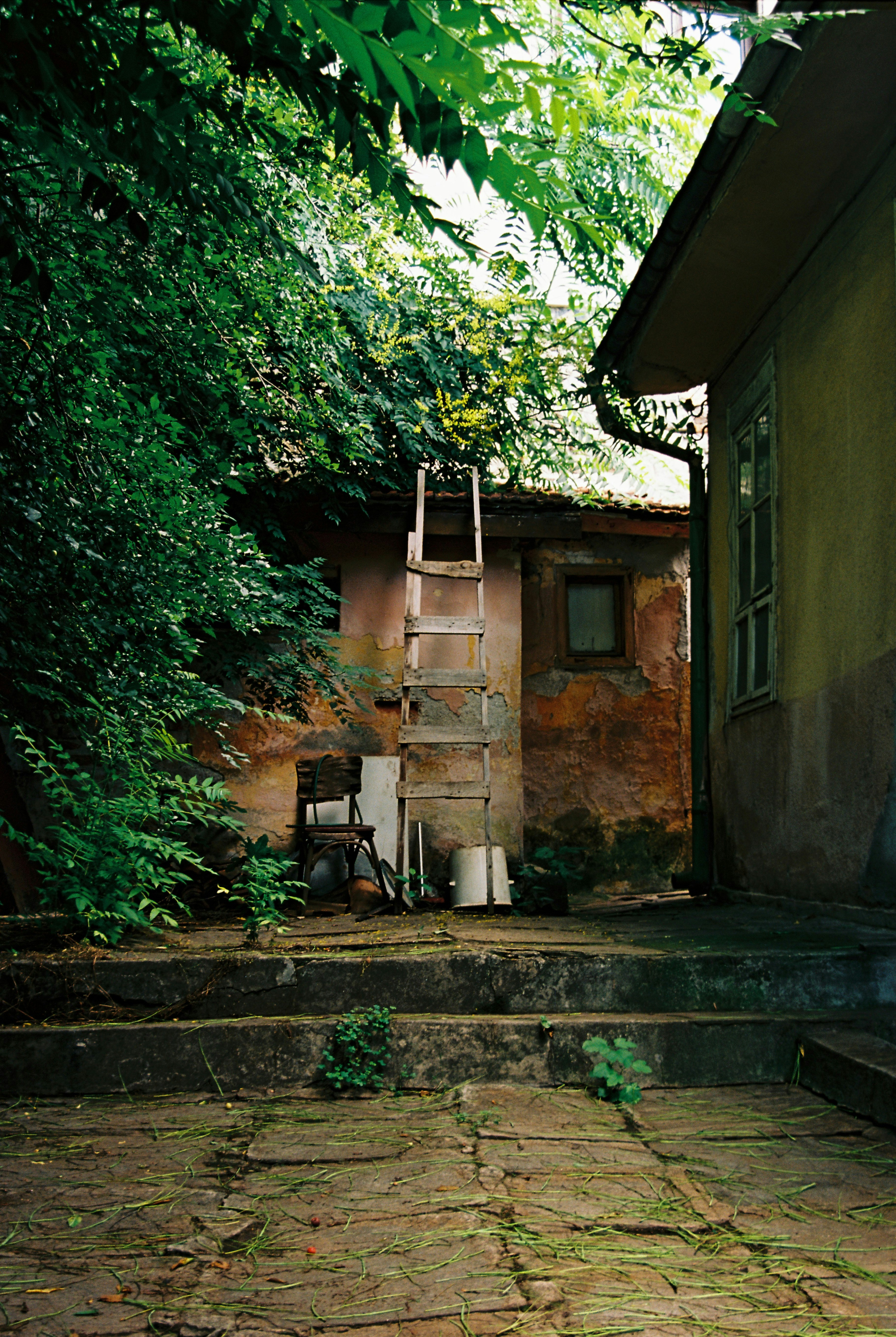 A brick path between buildings photo – Free Garden Image on Unsplash