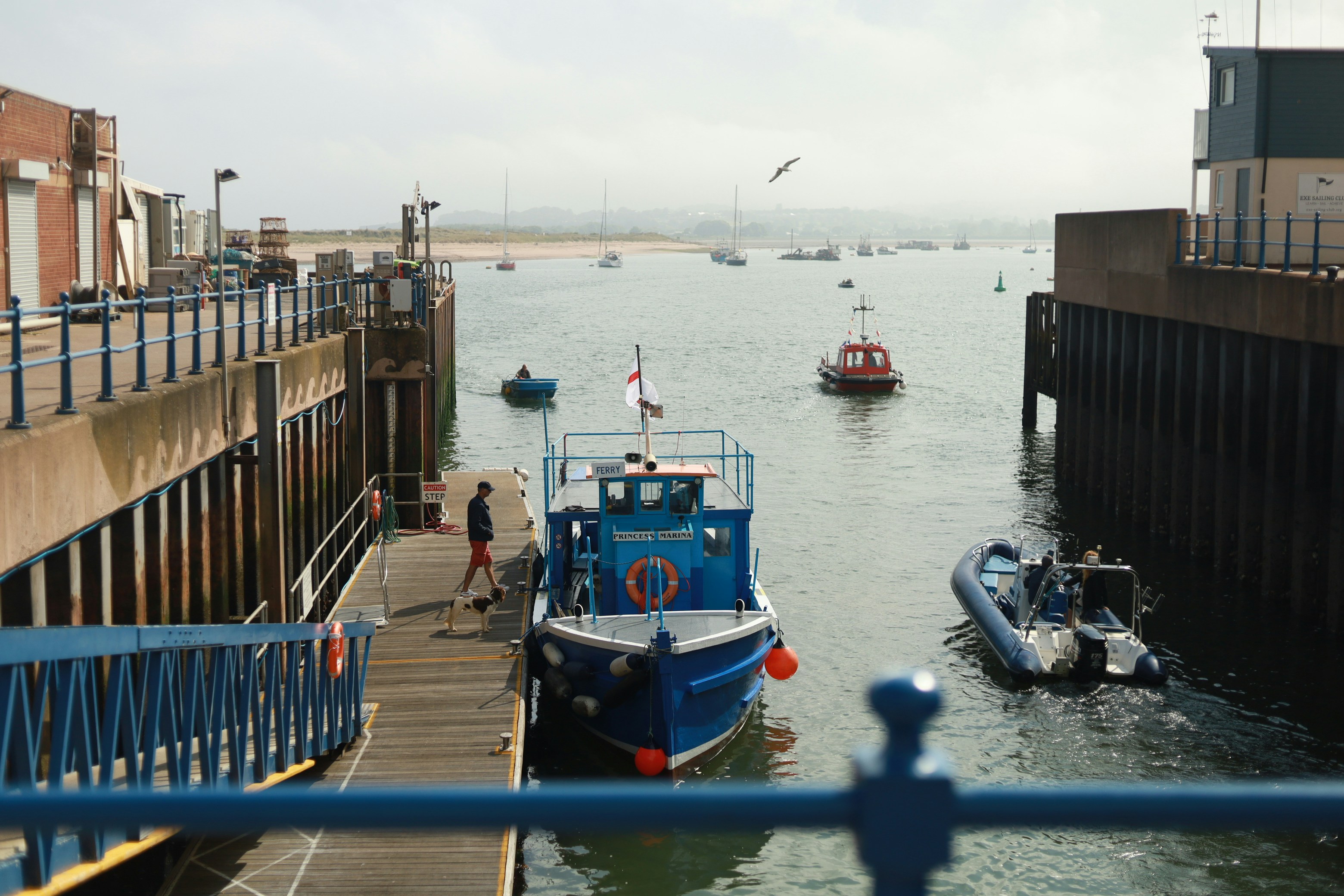 A small town ferry docked to a wharf at Exmouth Harbour, a man and his dog about hop onboard. Other boats are coming and going. Yachts can be seen in the background, with land behind them.