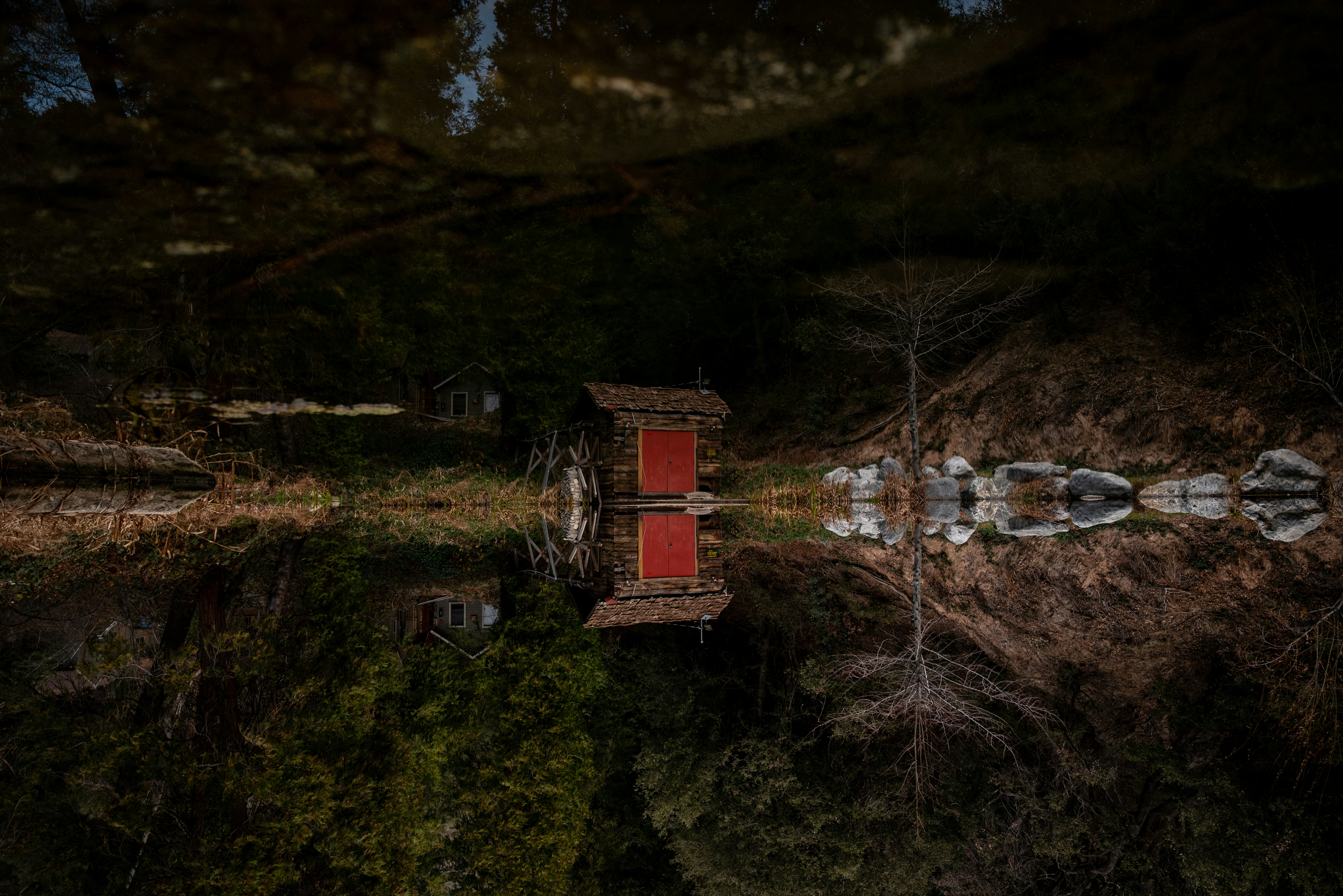 A small building in a forest photo – Free Forest home Image on Unsplash