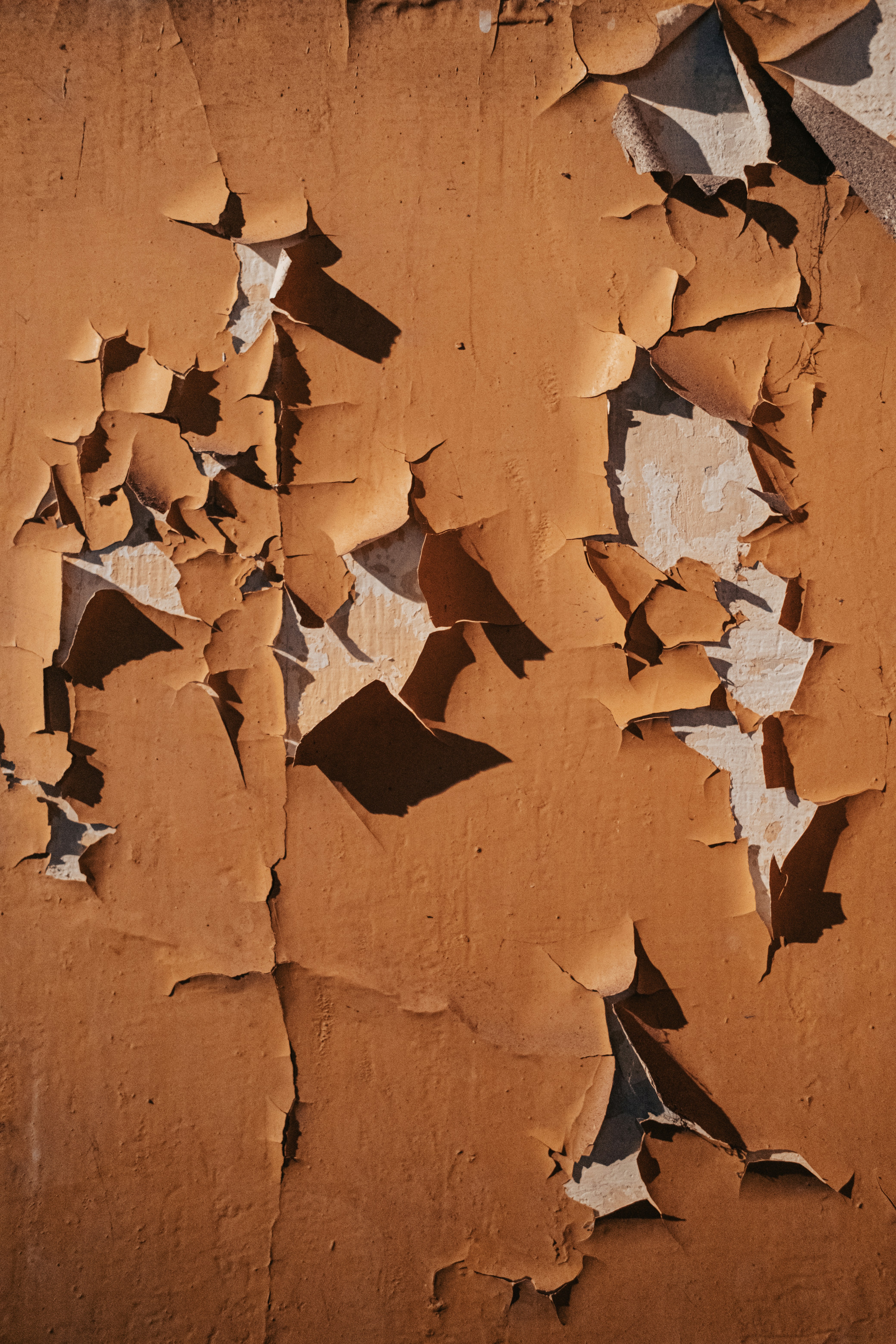 Un primer plano de una roca foto – Imagen de Textura gratuita en Unsplash