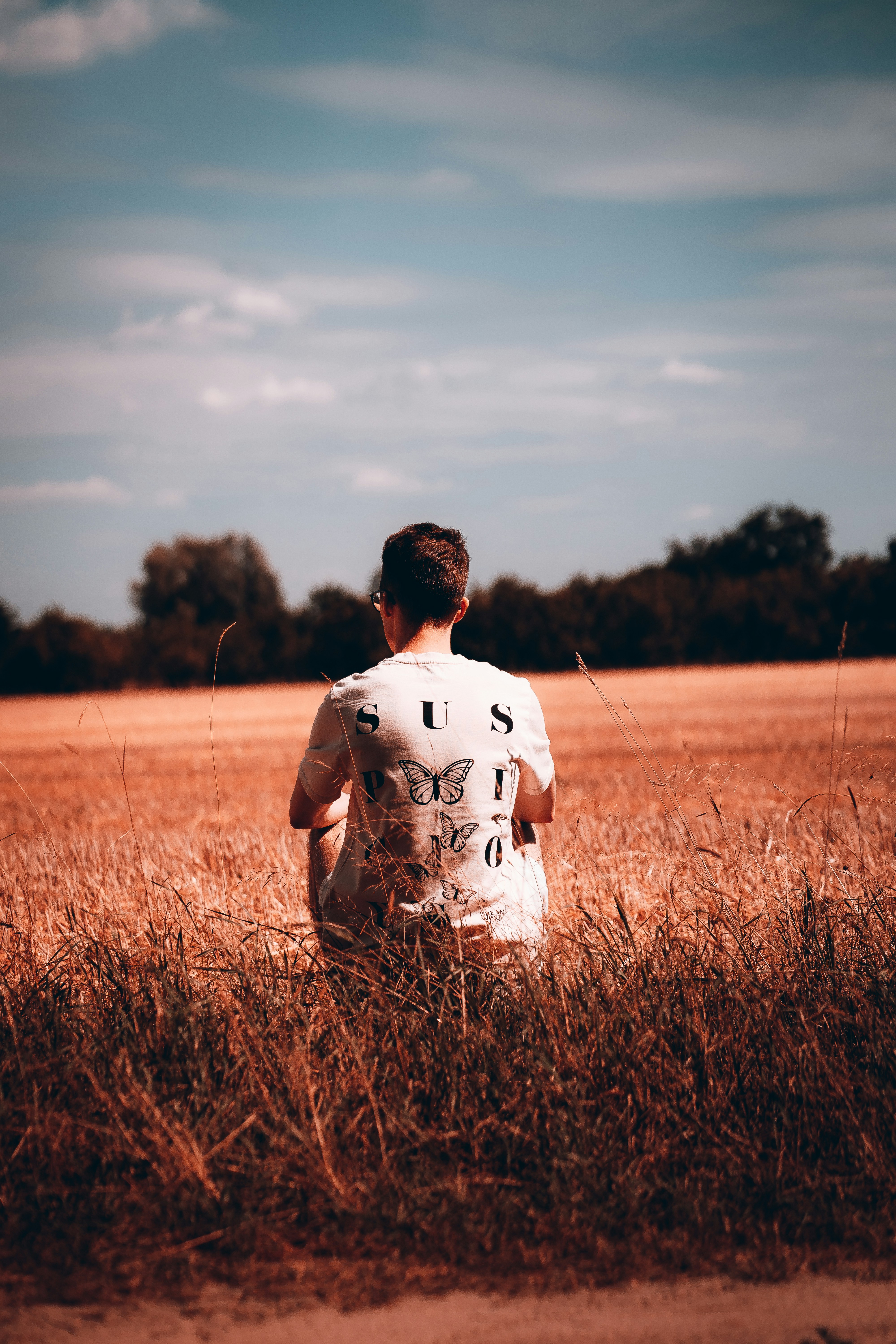 Fieldbound Portrait: Back of a T-shirted Figure in Sunset Grass