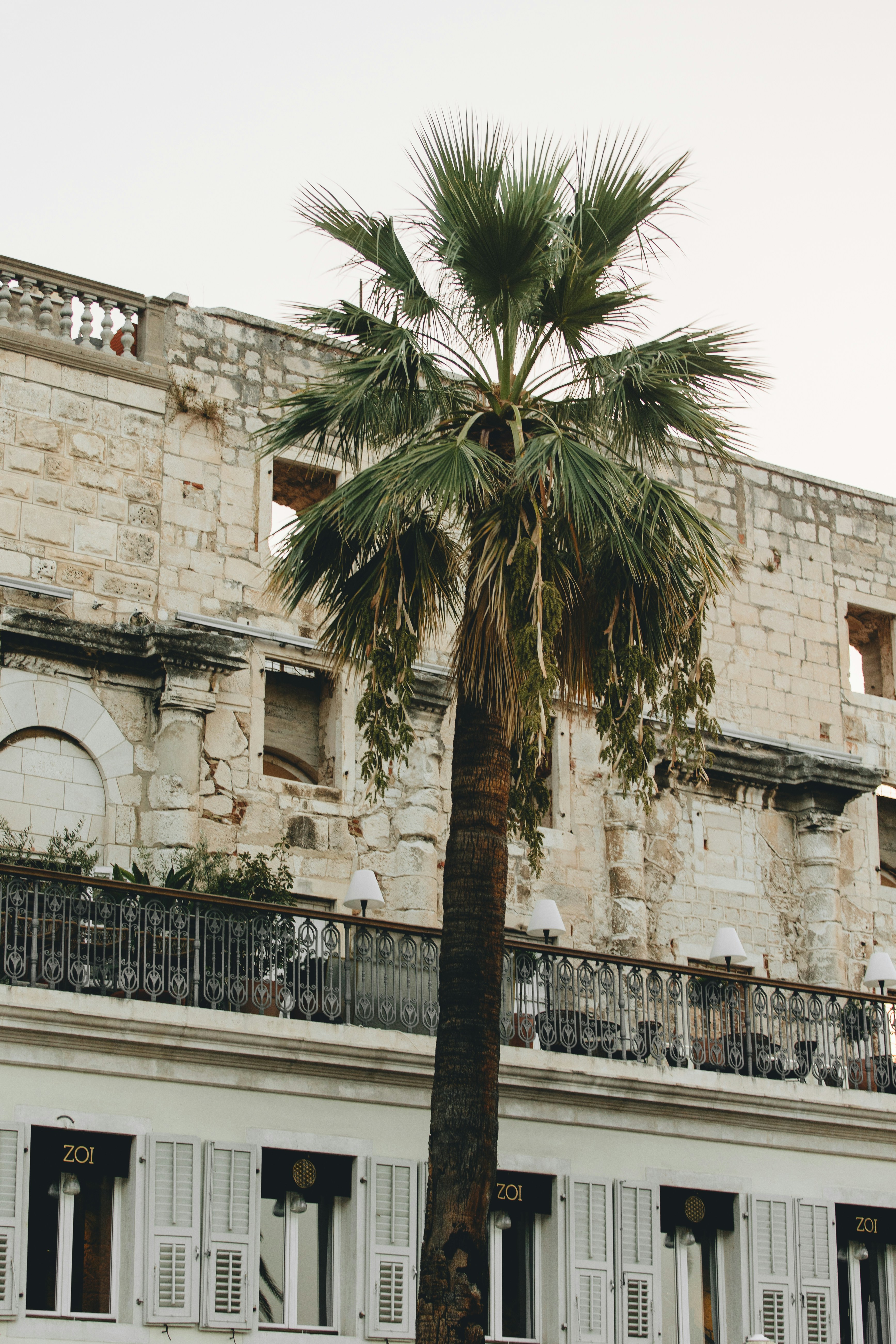 Palm in front of a weathered stone facade with a seaside terrace