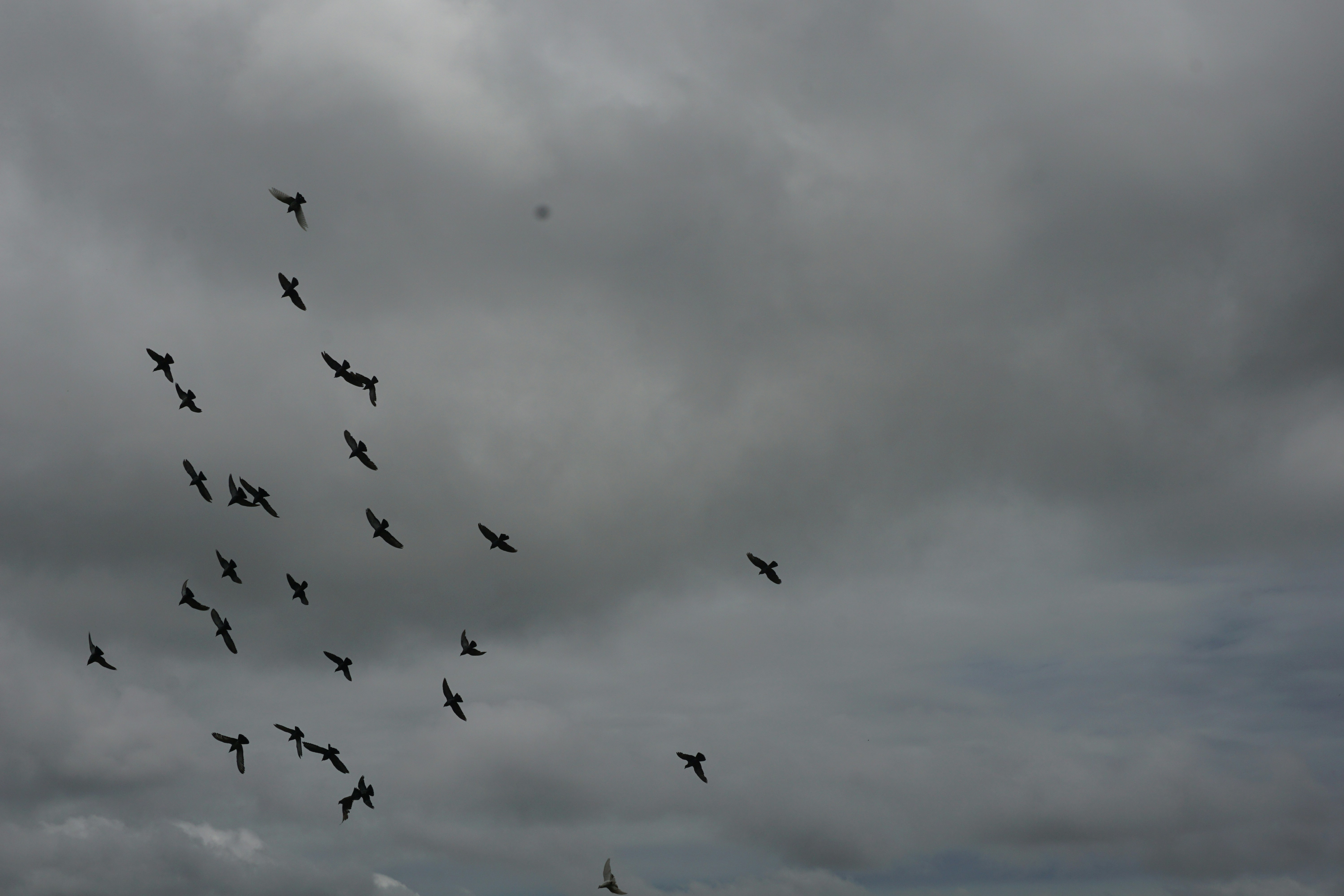 Photo by NATasha Nguyen with Sony Alpha 6000