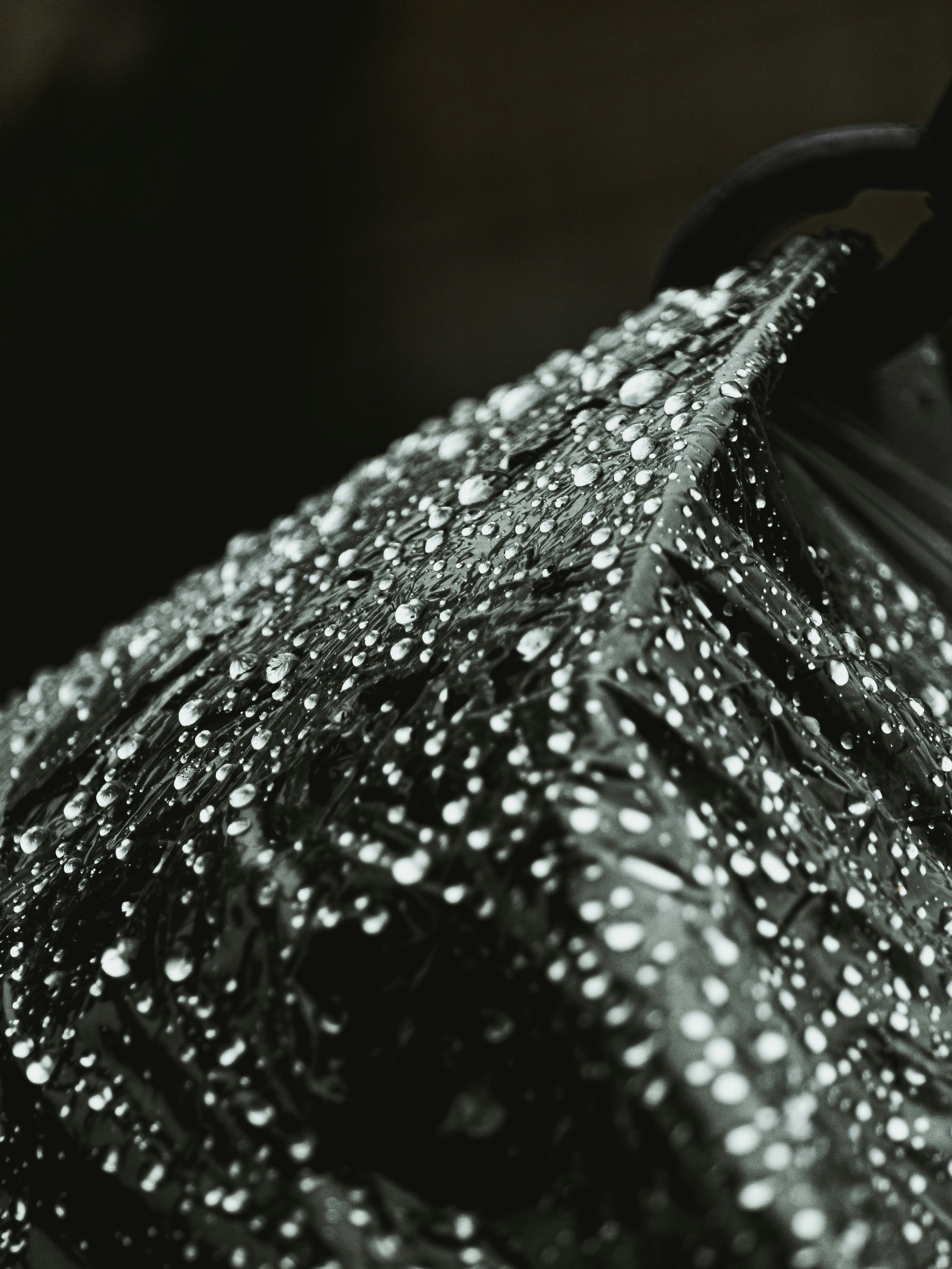 a close up of a black and white substance