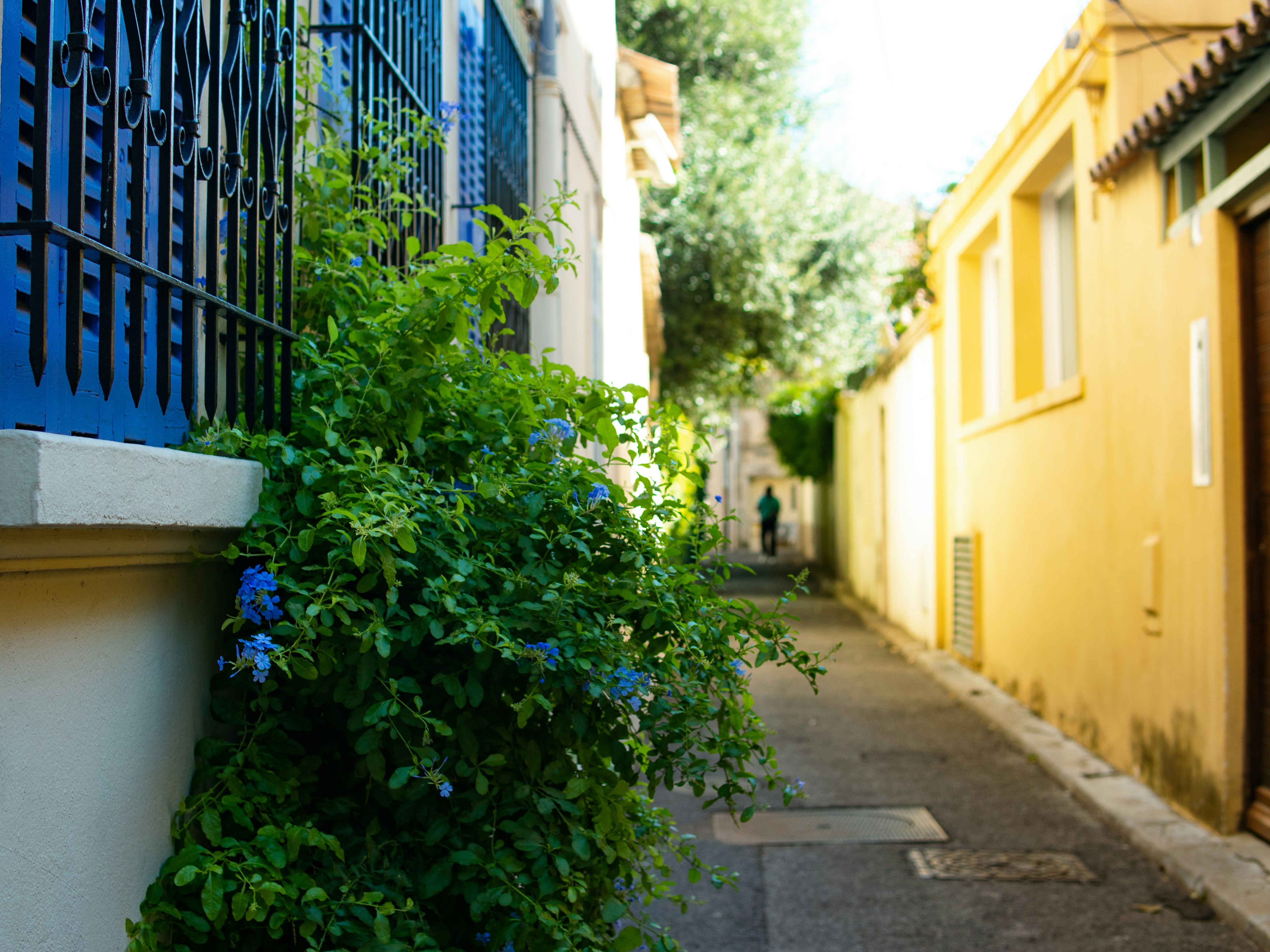 Photo by Lukas Kurth with Canon EOS M100