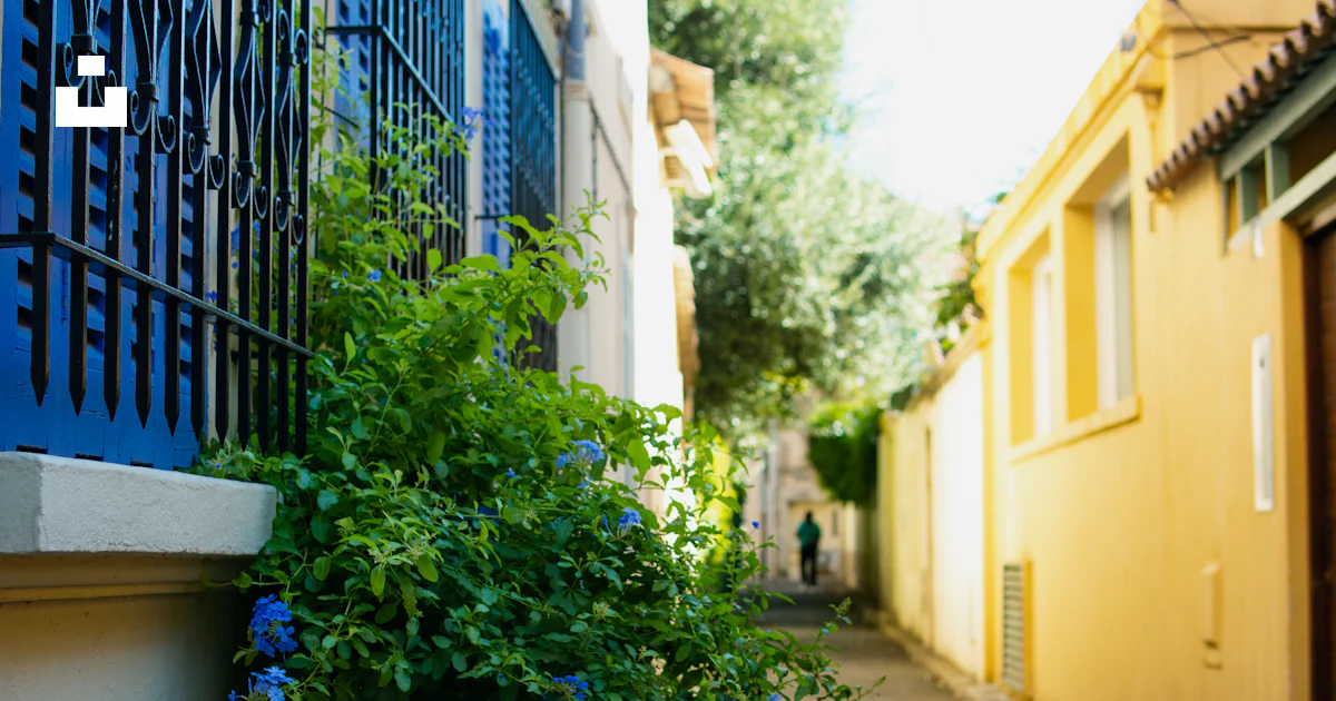 A Narrow Street Between Buildings Photo Free Alley Image On Unsplash A Narrow Street Between Buildings Photo Free Alley Image On Unsplash