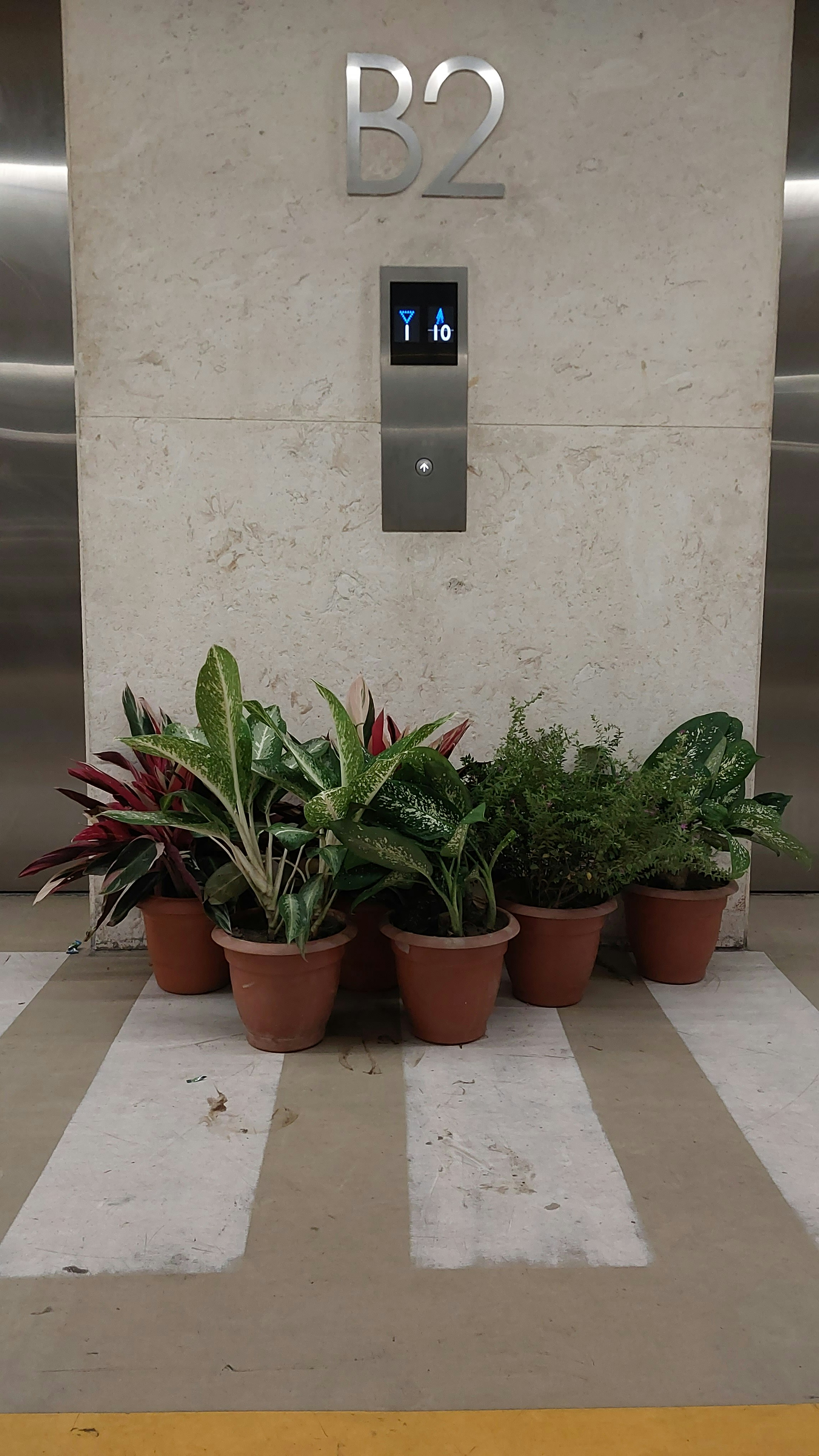 Sample photo from Samsung Galaxy F23