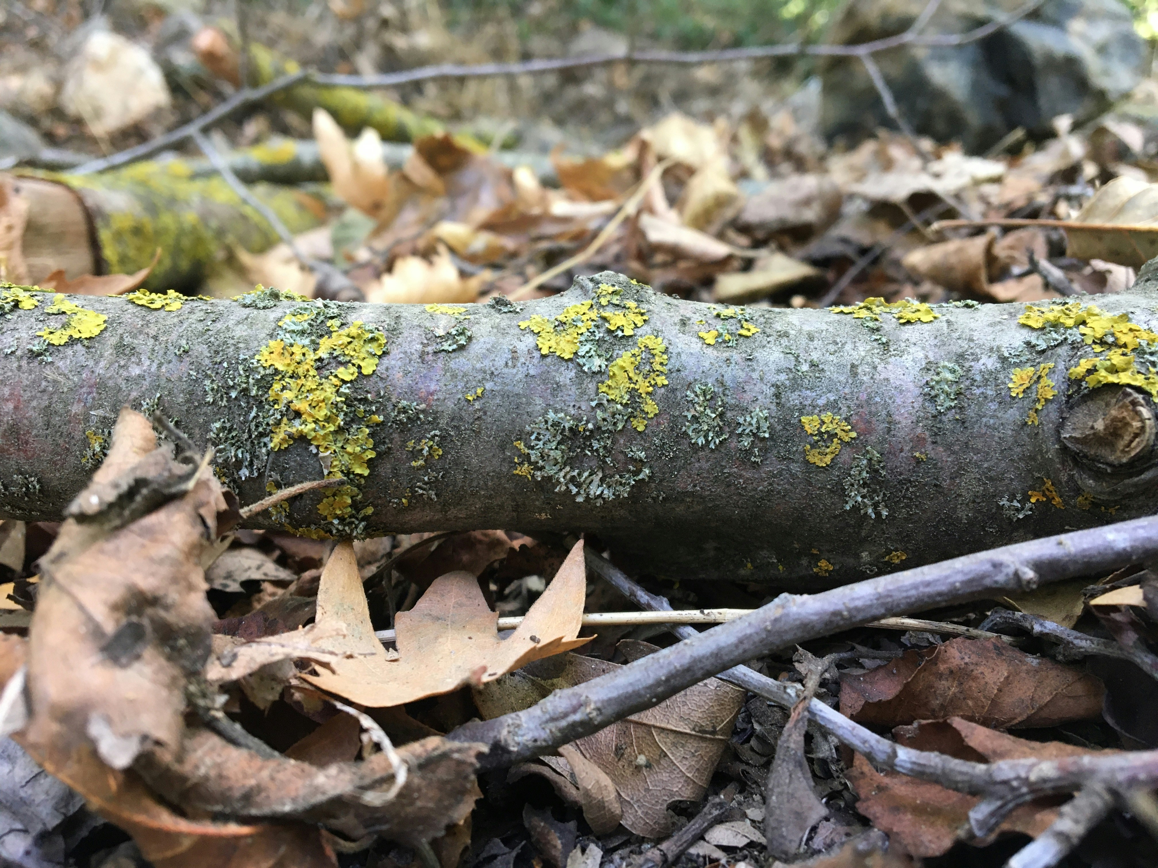 Mariam (@meryem8) | Unsplash Photo Community