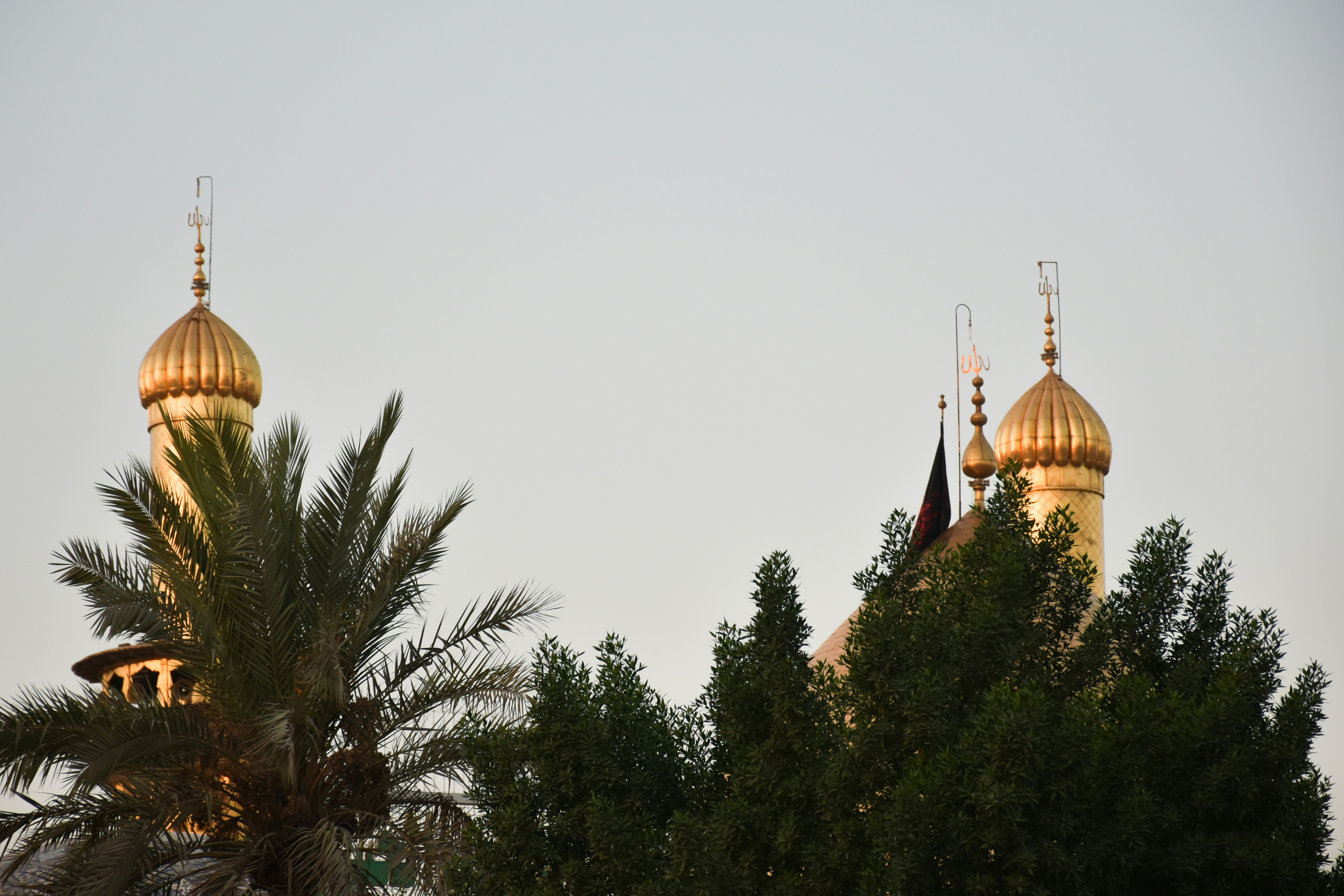 A group of trees with domed buildings photo – Free Shrine Image on Unsplash