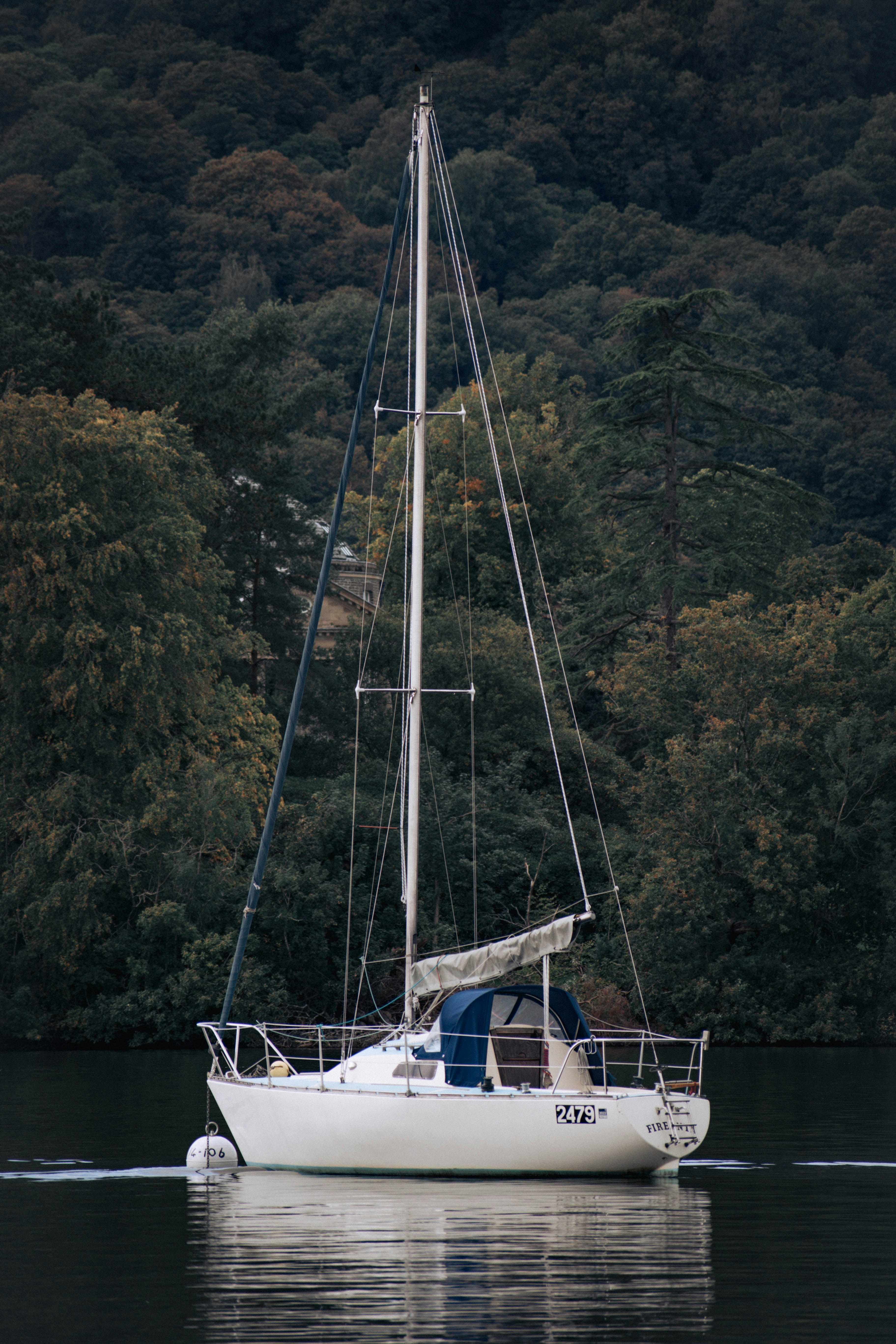 Photo by Adam Young with Nikon D3500