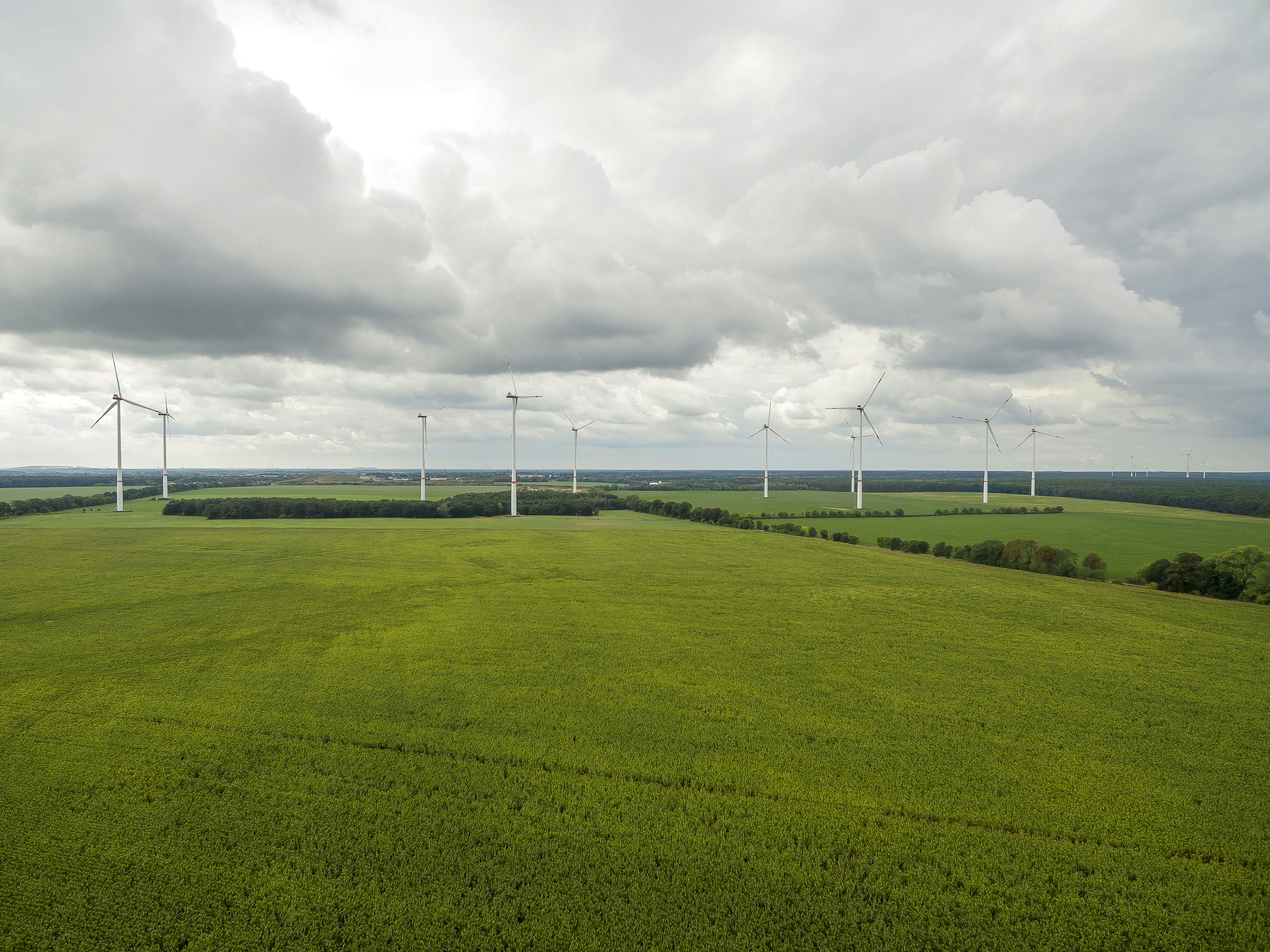 Verdant Horizon: Wind Turbines Crossing a Lush Plain Under Moody Skies