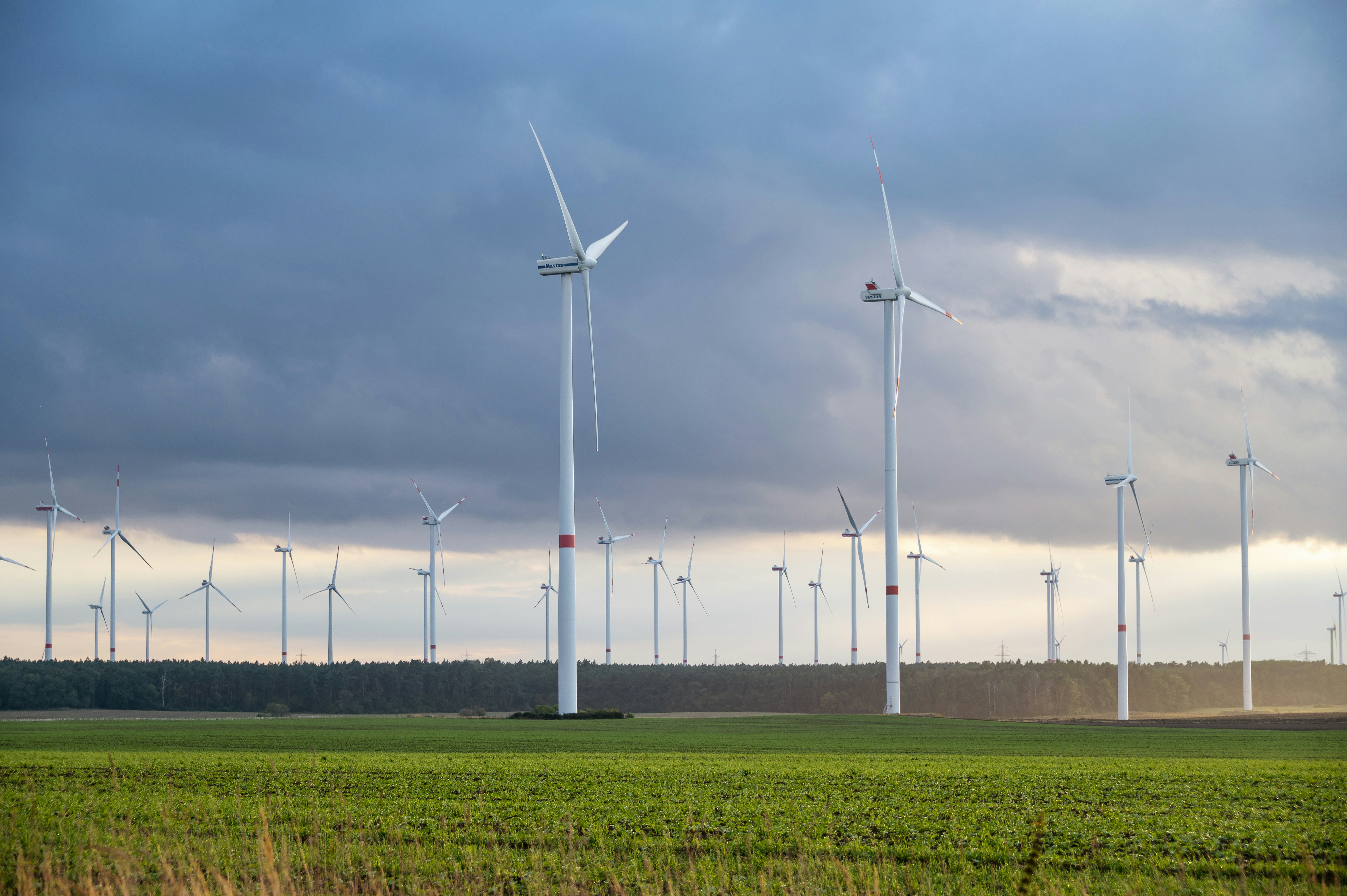 A group of wind turbines photo – Free Brandenburg Image on Unsplash