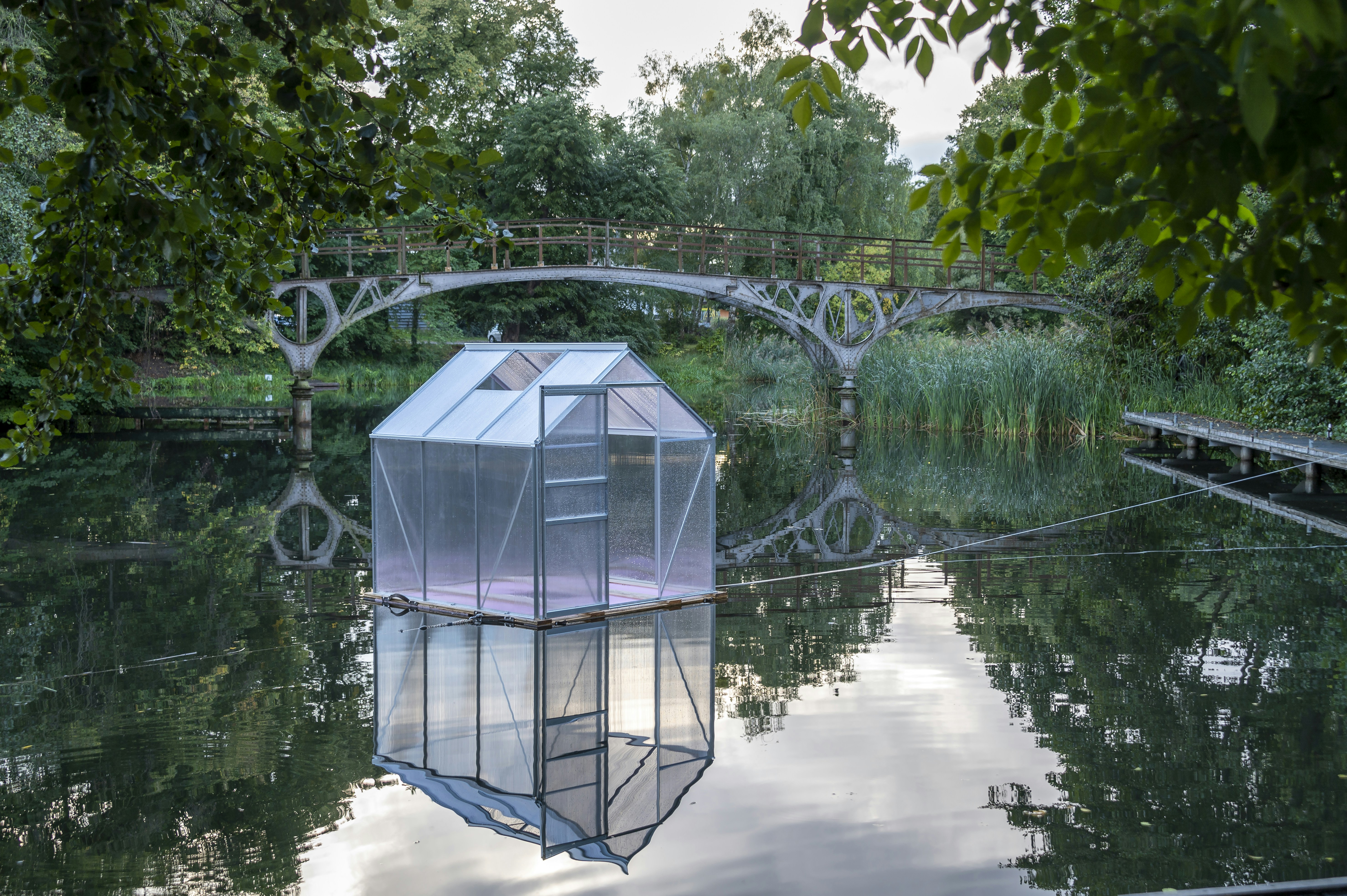 Serene Glass Retreat Amidst Nature