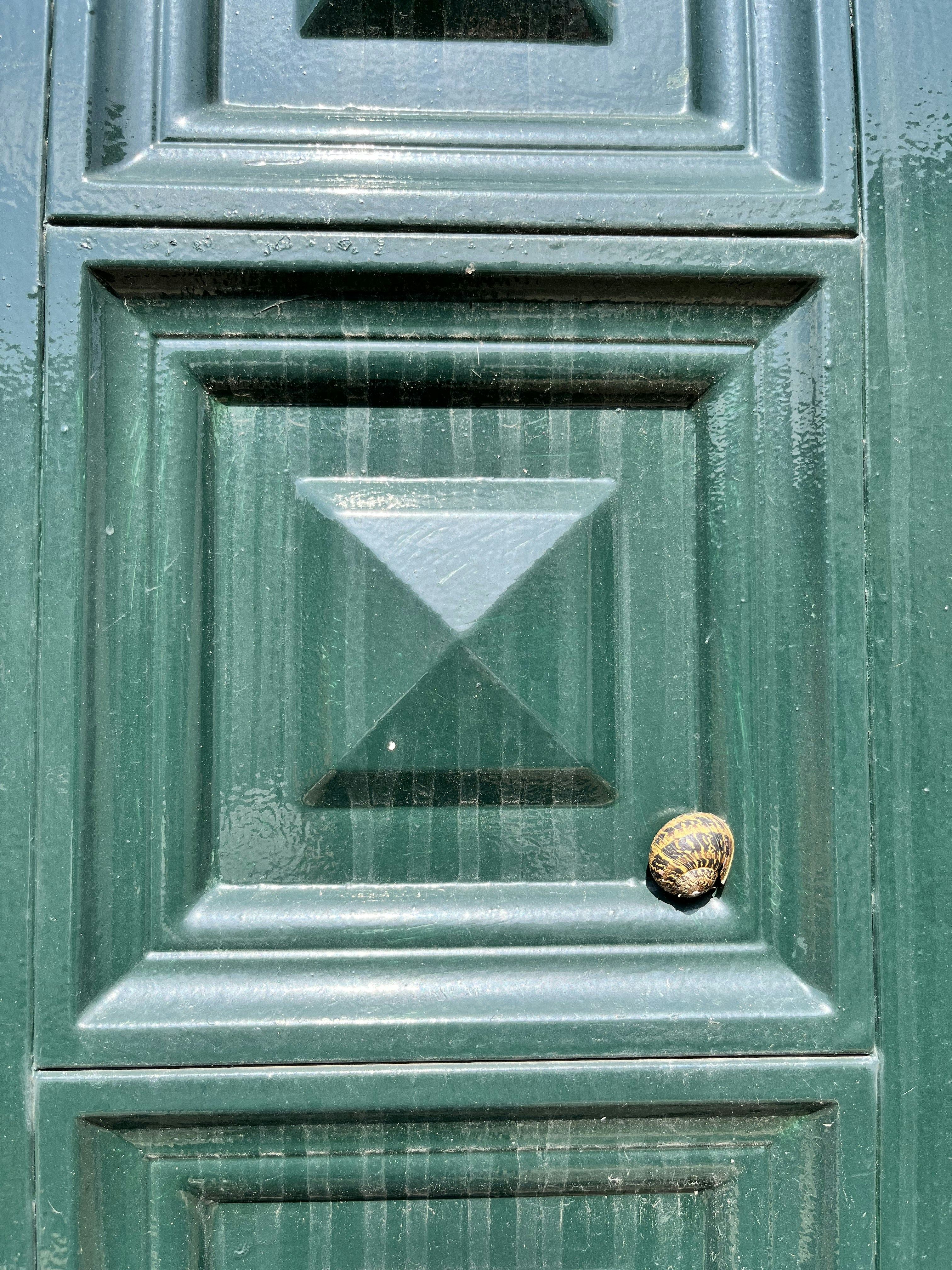 Snail on an Emerald Door: Geometry, Texture, and a Quiet Moment