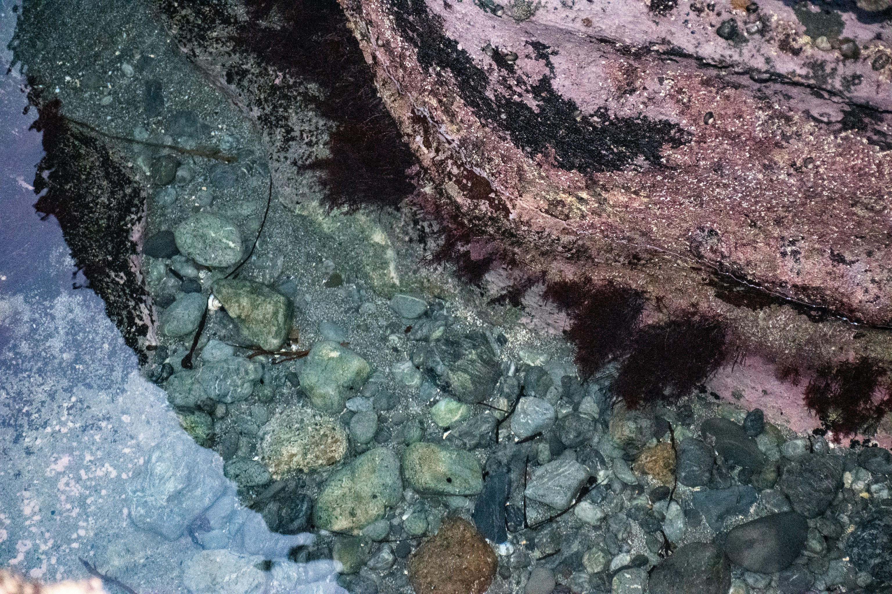 Hydrothermal Alteration Guide