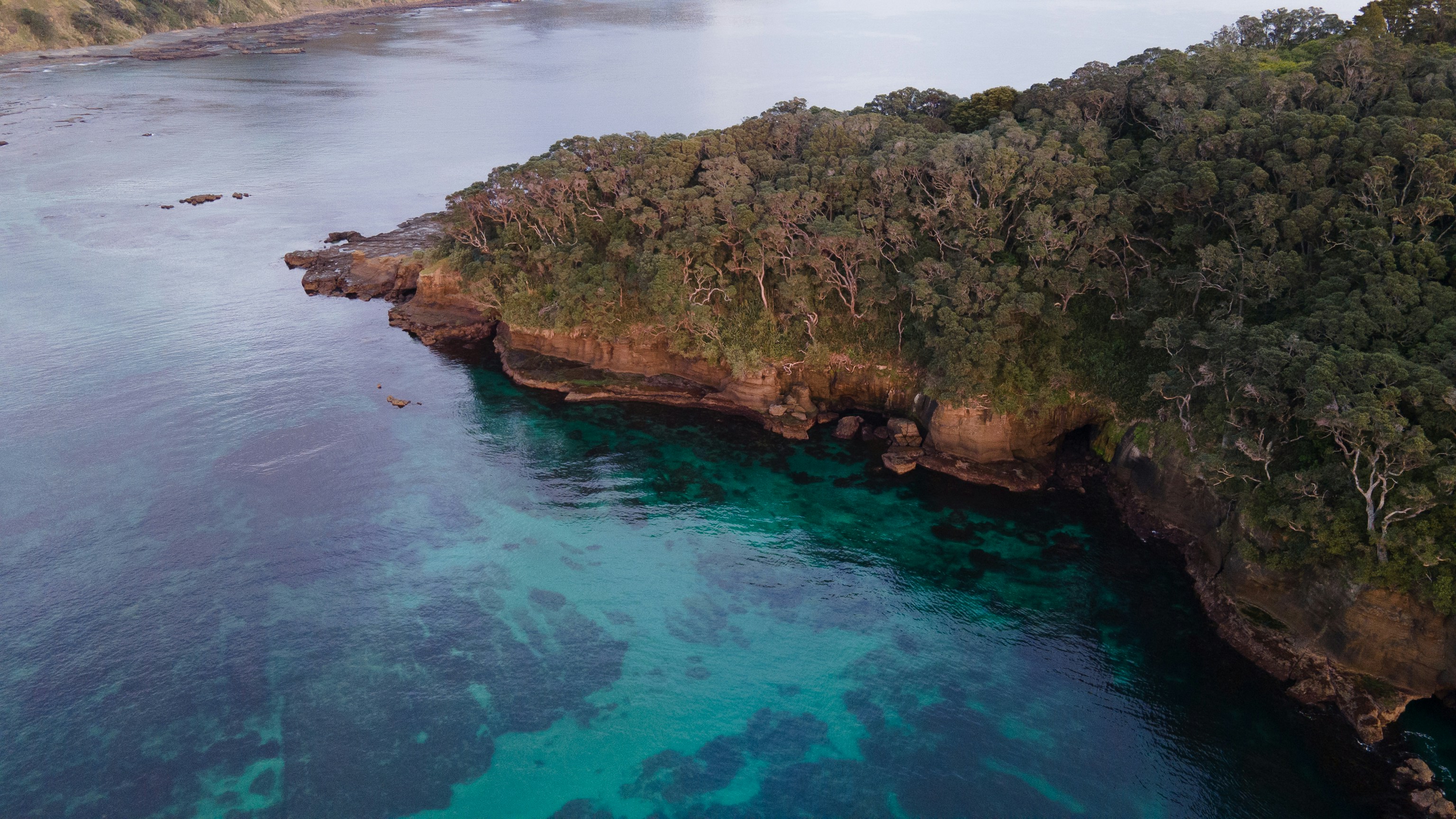 Emerald Coastline Aerial: Lush Headland Over Turquoise Waters