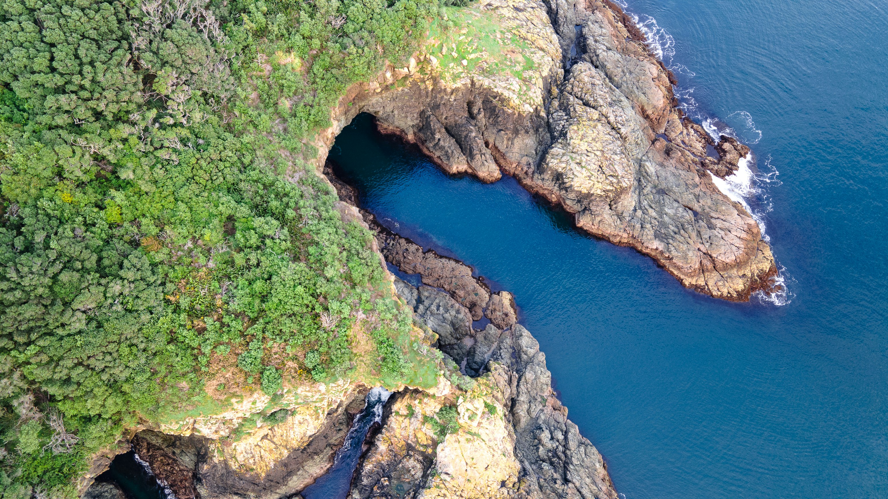 Turquoise Gate: Hidden Sea Pool Amid Cliffside Greenery