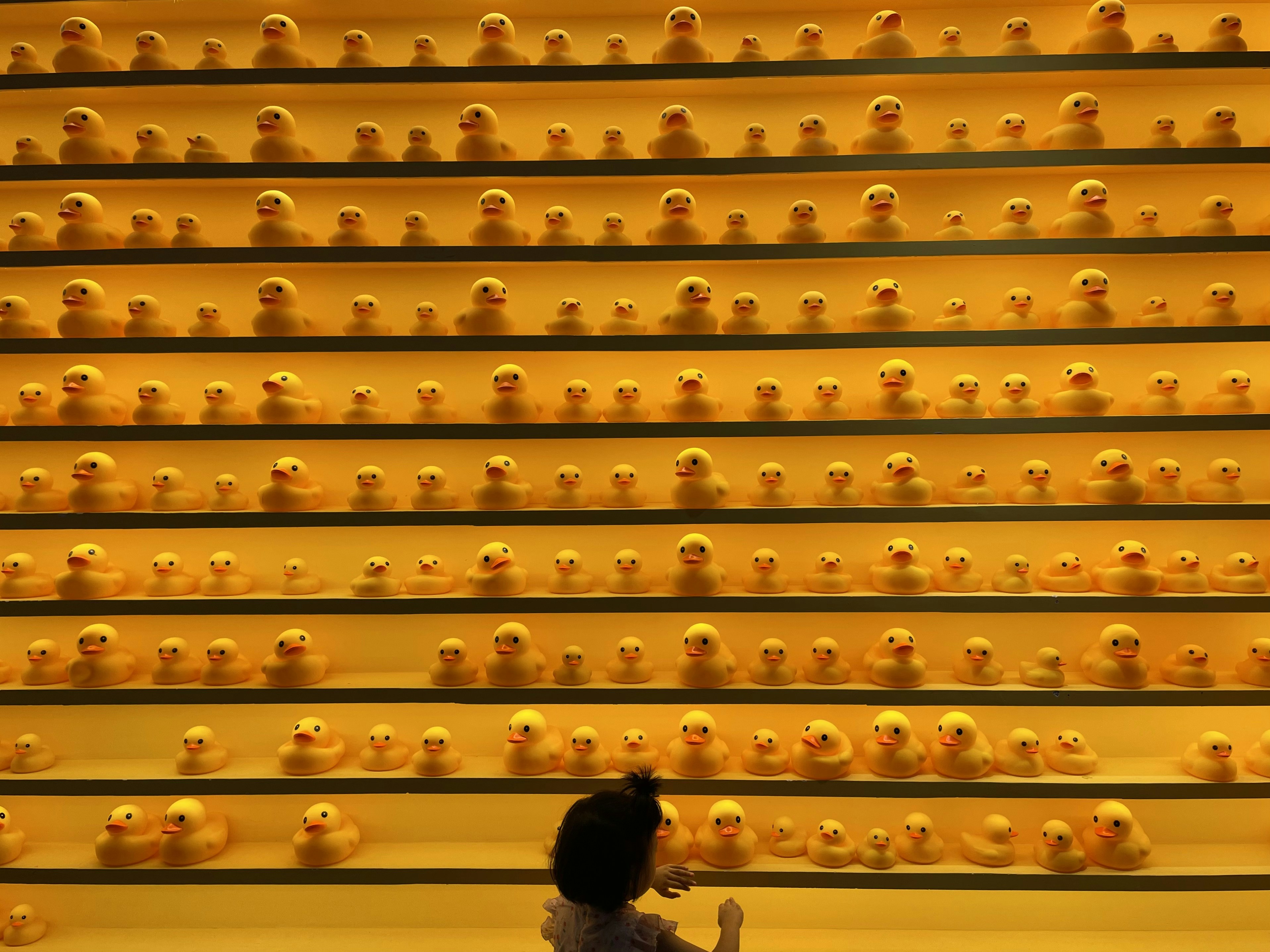 A Symphony of Rubber Ducks