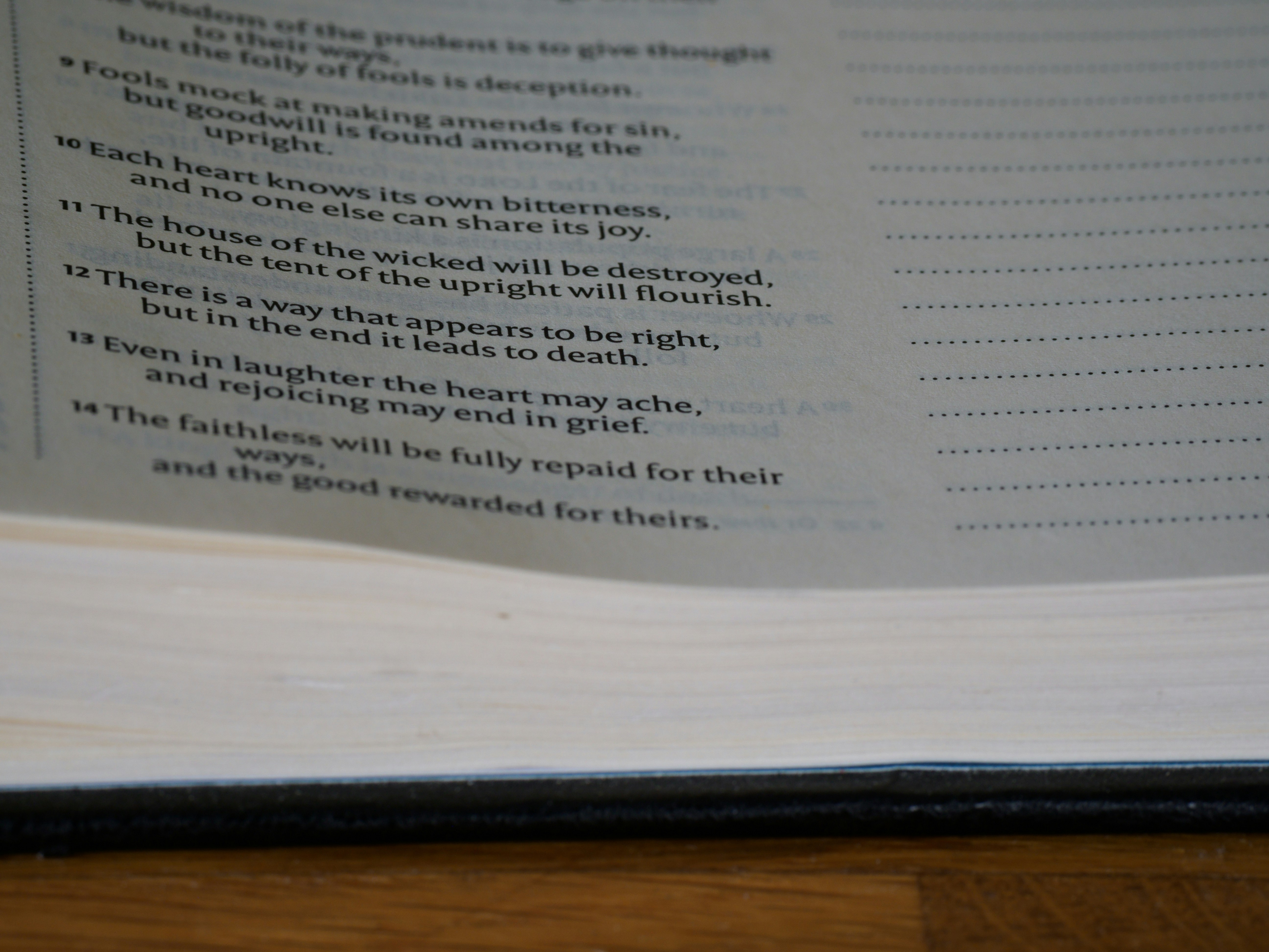 A page of a book photo – Free Text Image on Unsplash