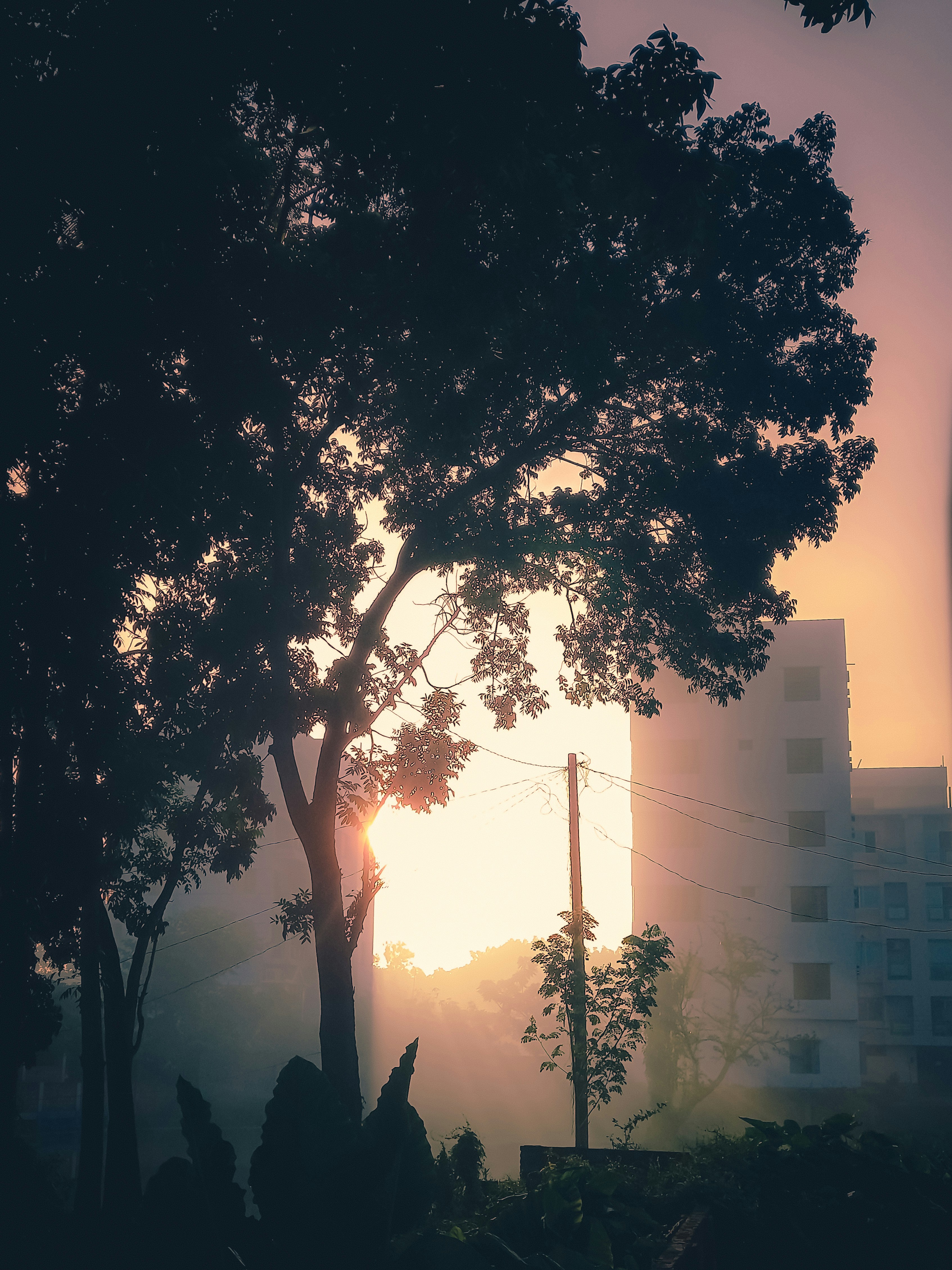 Photo by Amid Hasan Emon with Samsung Galaxy A31