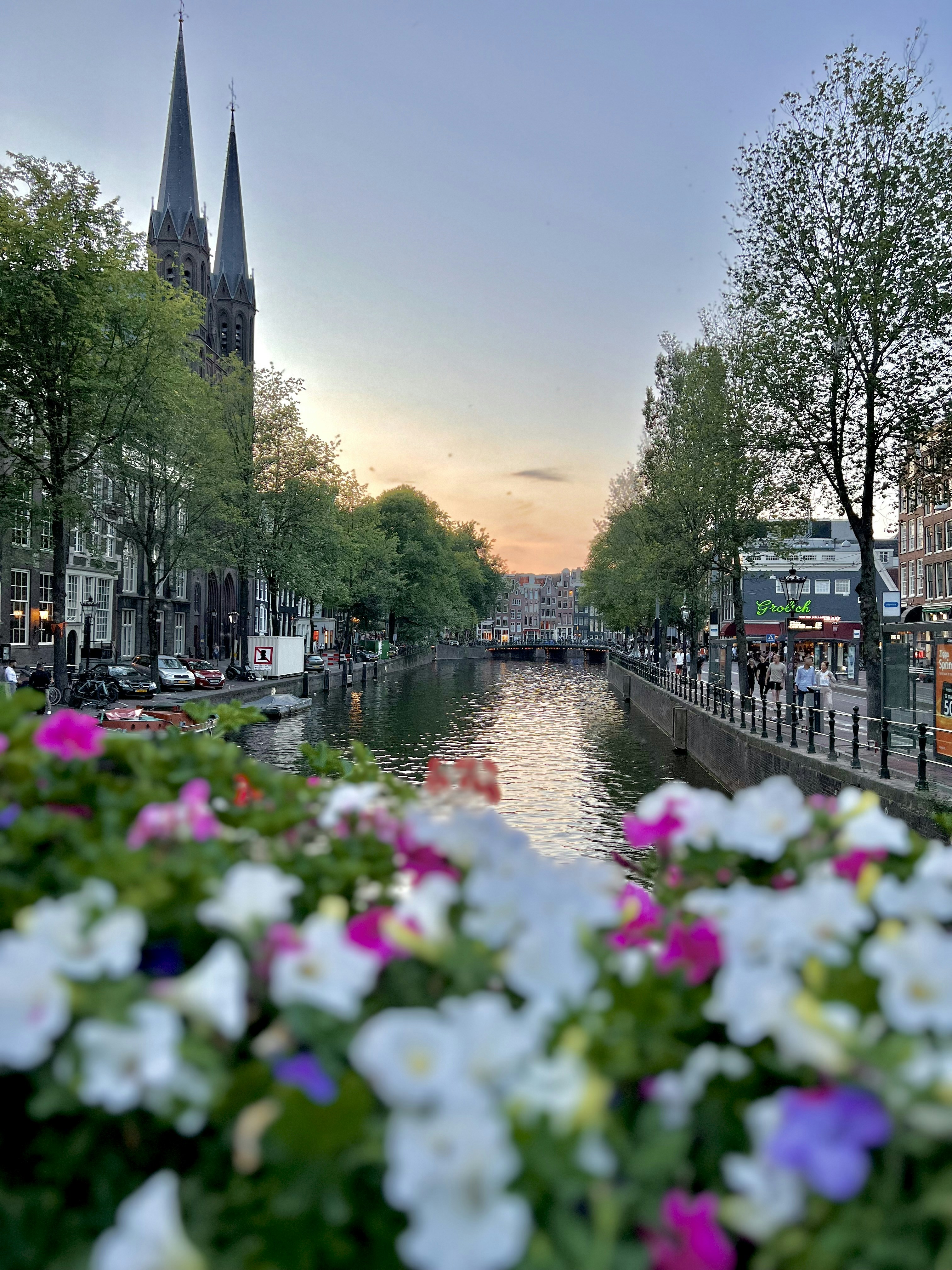 Une rivière avec des fleurs et des arbres le long de celle-ci photo ...