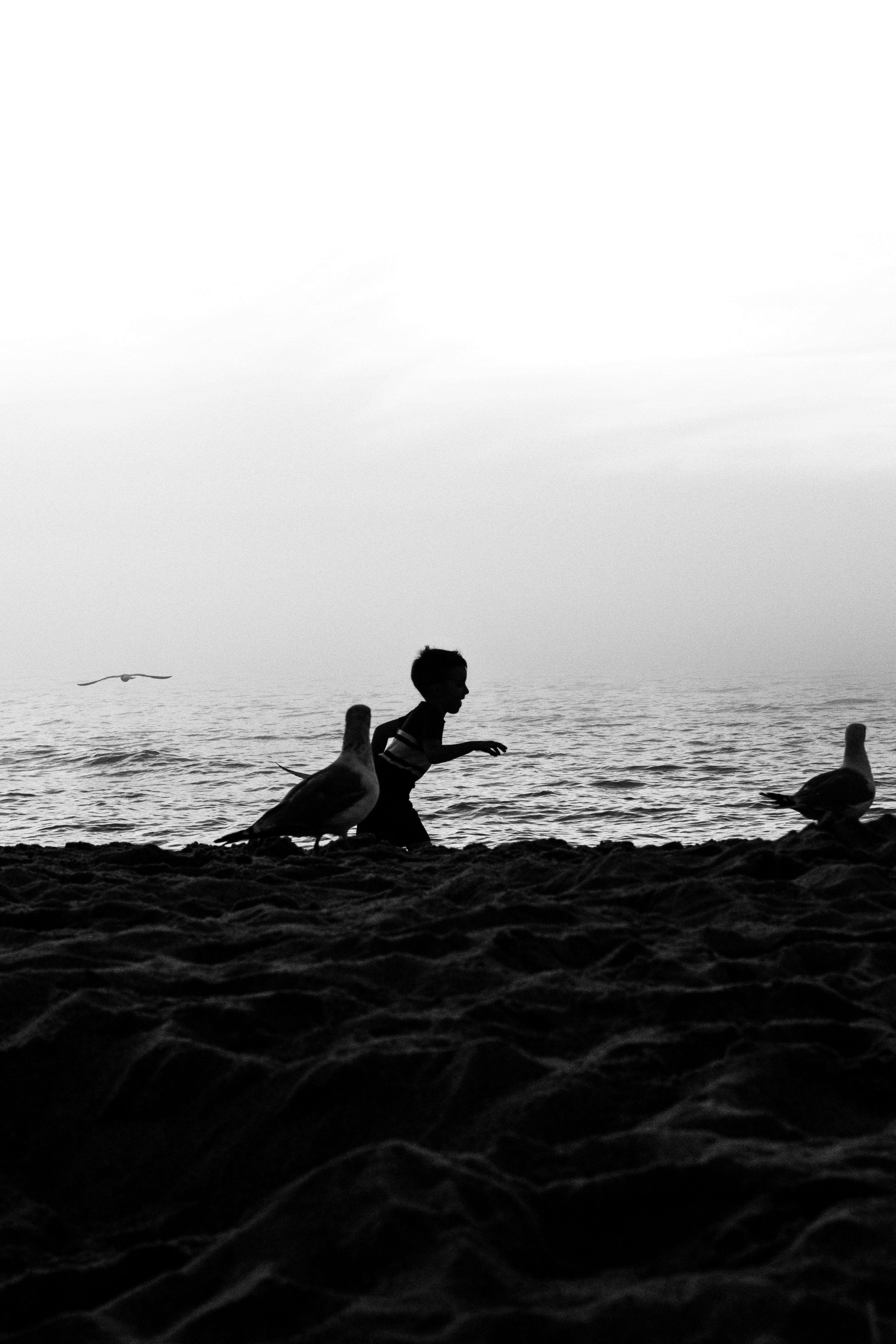 Photo by maxim bober with Canon EOS 800D